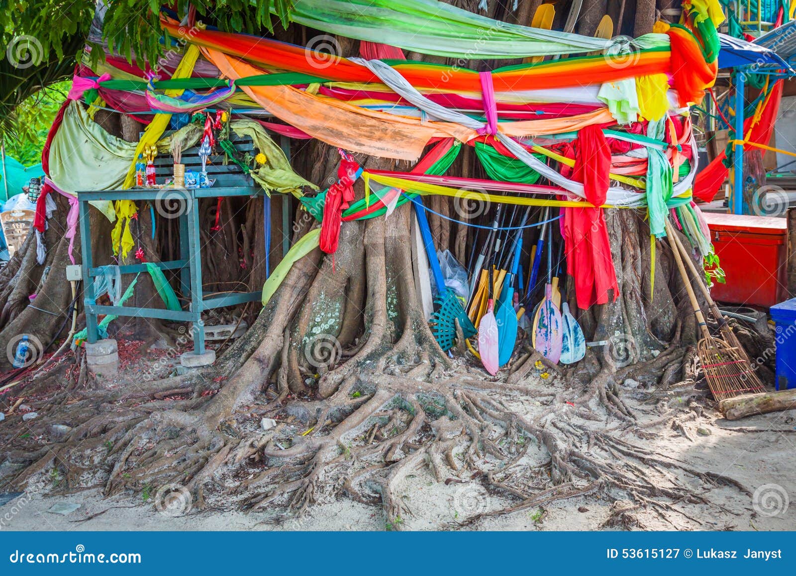 Tree Ordination, Robe Of Buddhist Monk Wrap Around Tree Trunk. Ceremony ...