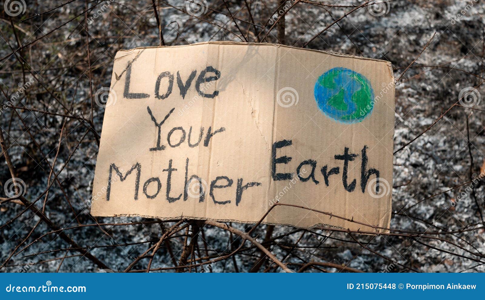 A Conservative Sentence On Cardboard Banners In Area Of The Burning ...