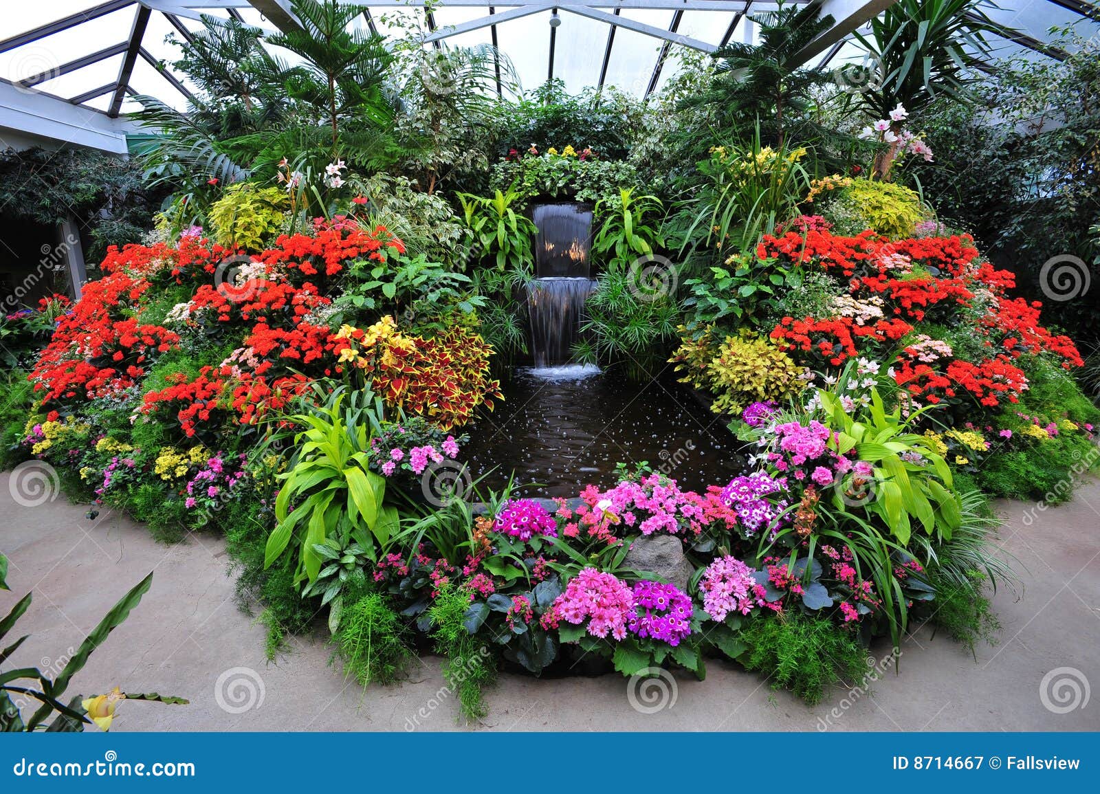 Conservatory stock image. Image of bloom, garish, colorful - 8714667