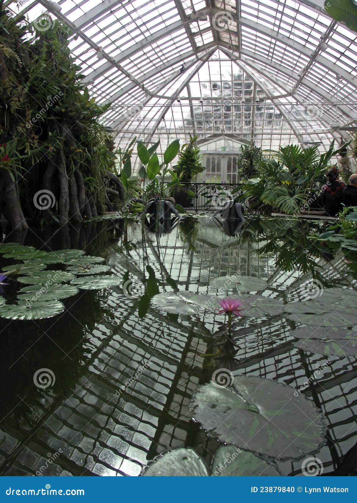 Conservatory of Flowers stock photo. Image of gate, golden - 23879840