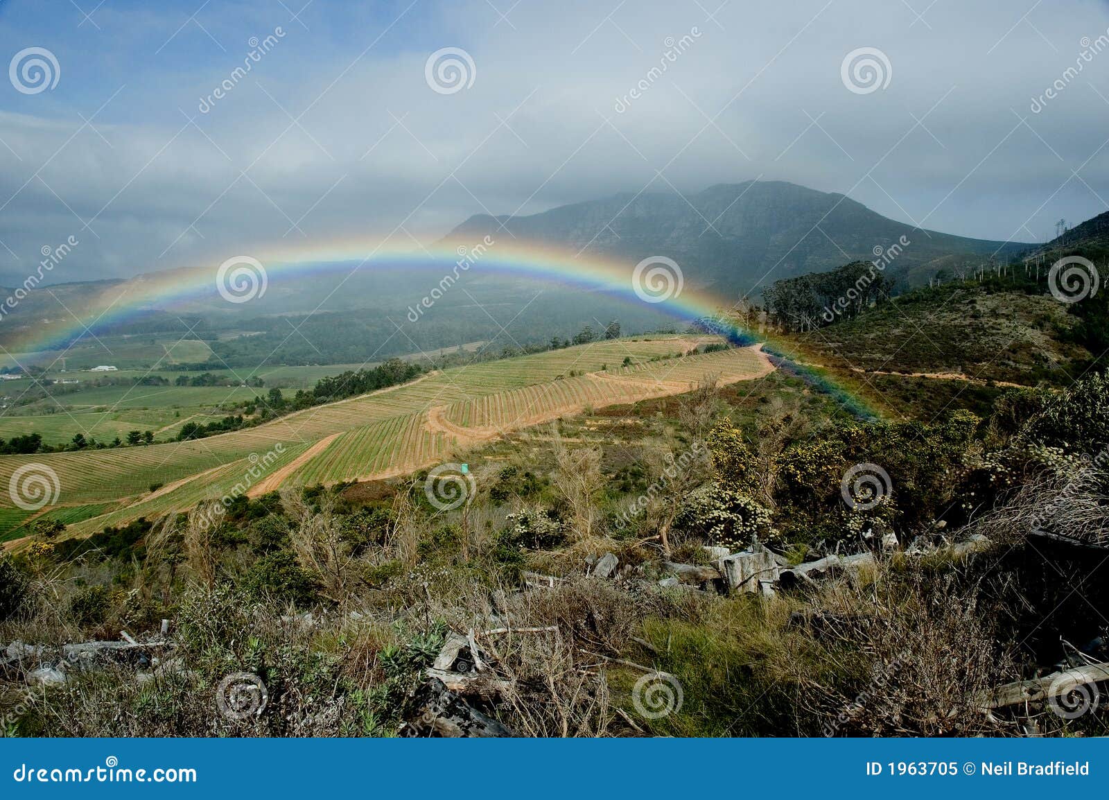 Constantia Valley stock image. Image of mountain, lush - 1963705