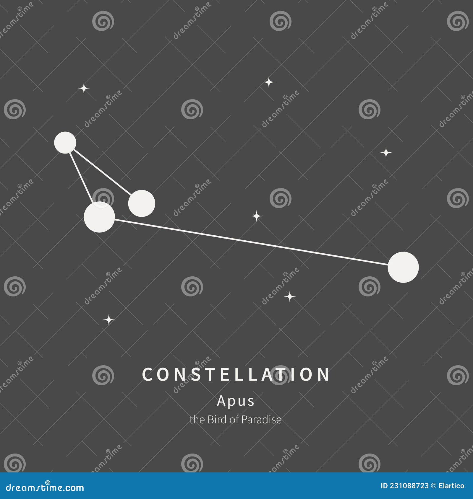 The Constellation of Apus. the Bird of Paradise - Linear Icon. Vector ...