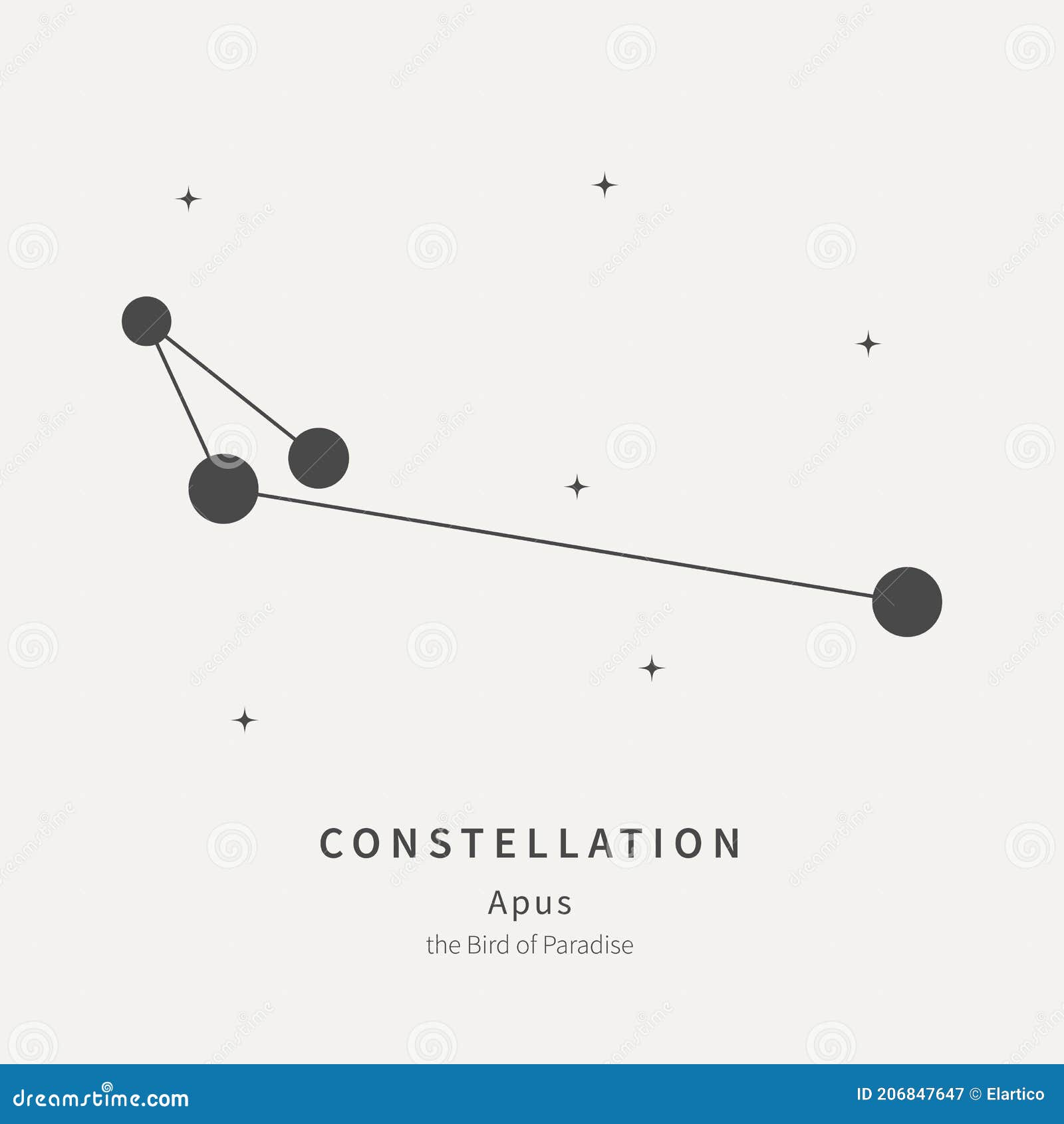 The Constellation of Apus. the Bird of Paradise - Linear Icon Stock ...