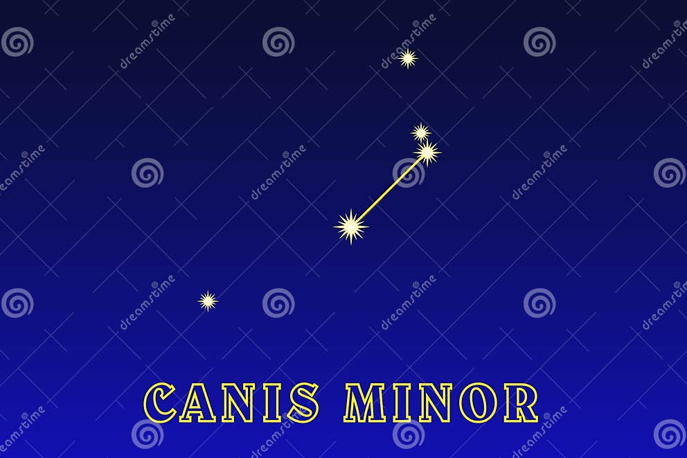 Constellation Canis Minor stock illustration. Illustration of ...