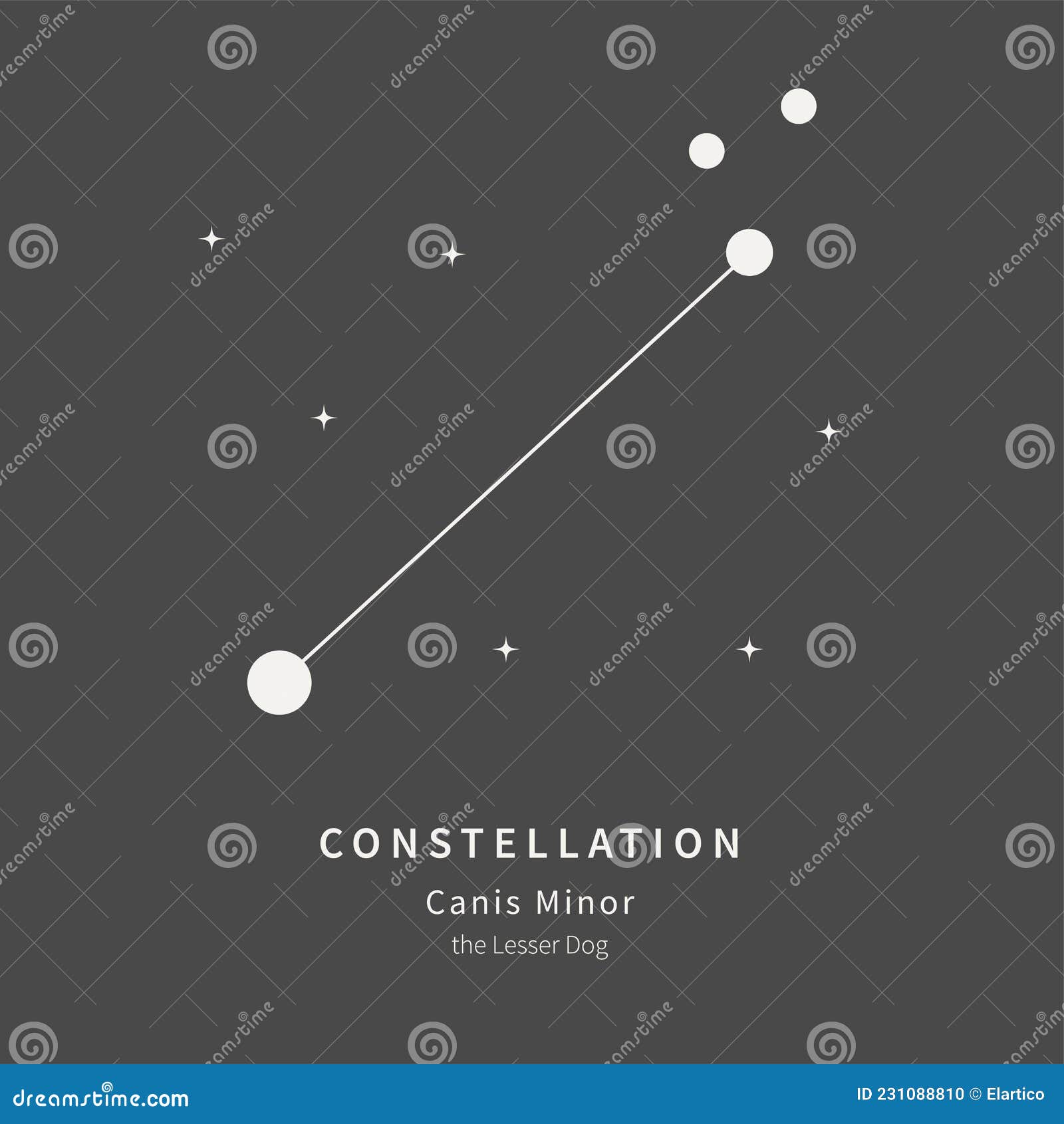 The Constellation of Canis Minor. the Lesser Dog - Linear Icon. Vector ...