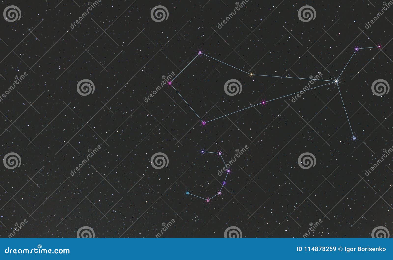 The Constellation Bootes Cartoon Vector | CartoonDealer.com #119871101