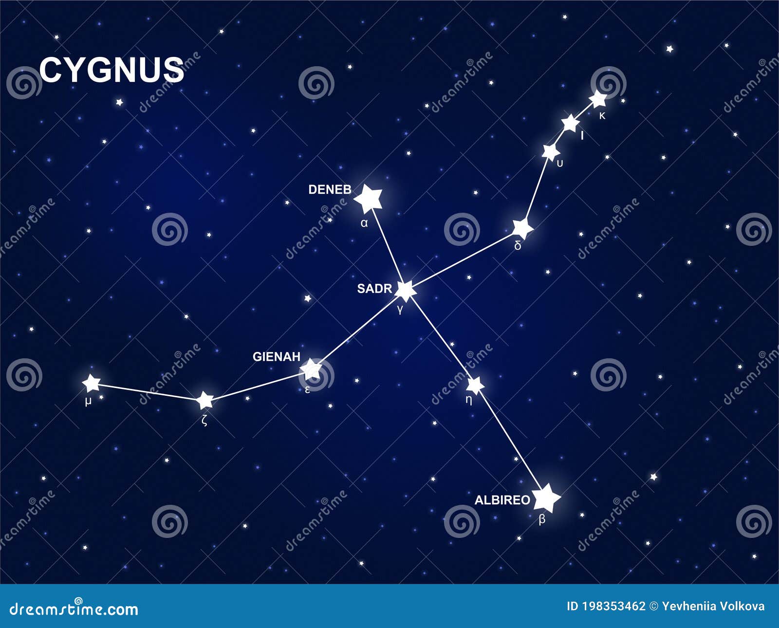 Constellation Cygnus, Cyg Isolated, Concept Of Starry Sky, Astronomy ...