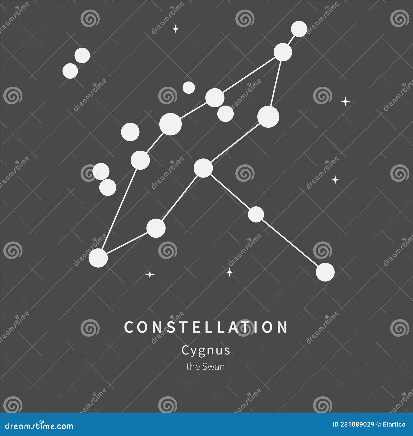 The Constellation of Cygnus. the Swan - Linear Icon. Vector ...