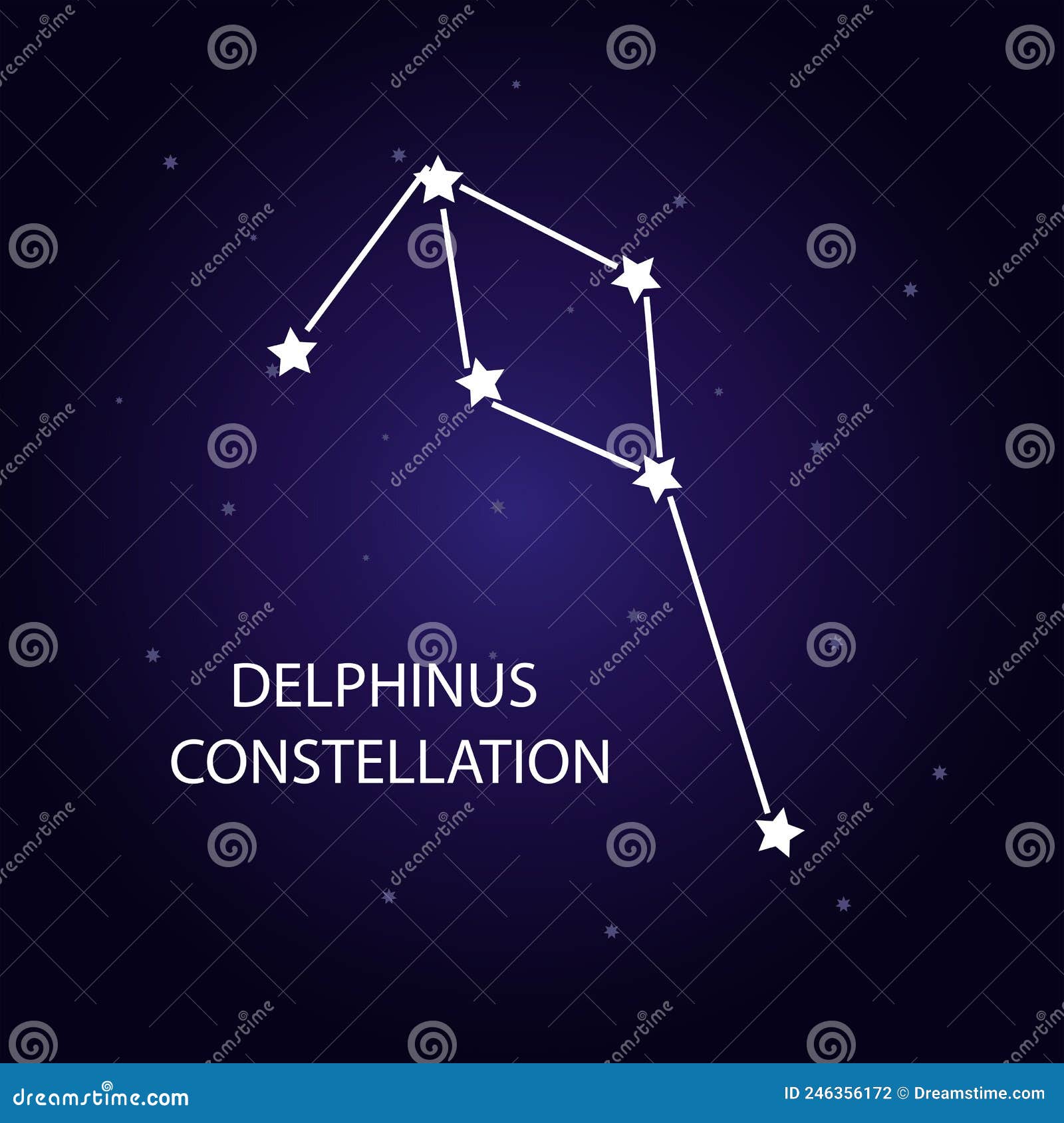 Constellation Of Delphinus, Dolphin Star Shape Vector Illustration ...