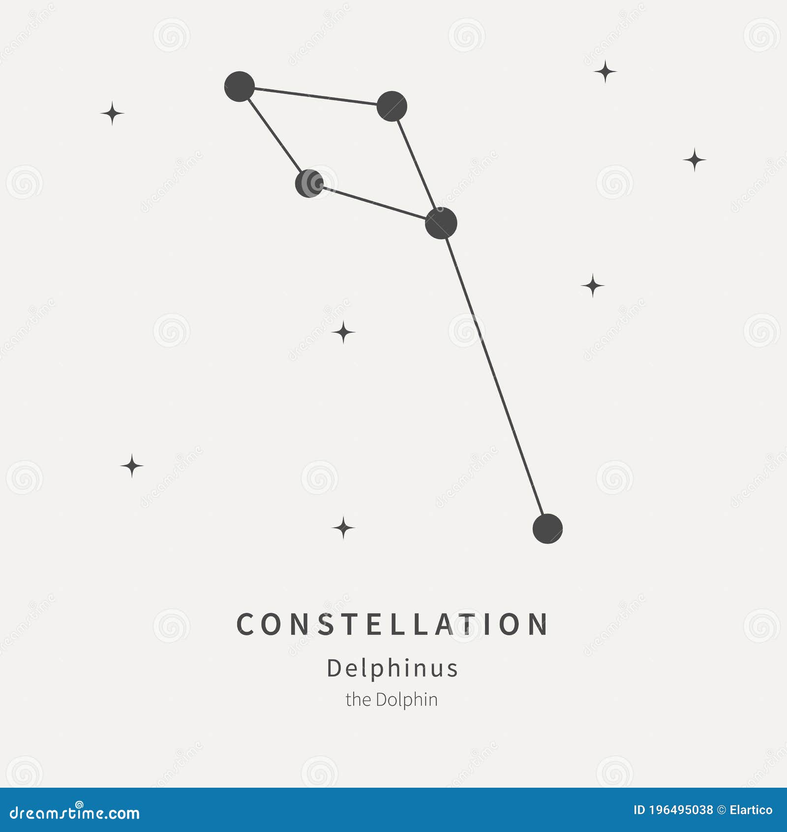 The Constellation of Delphinus. the Dolphin - Linear Icon Stock Vector ...