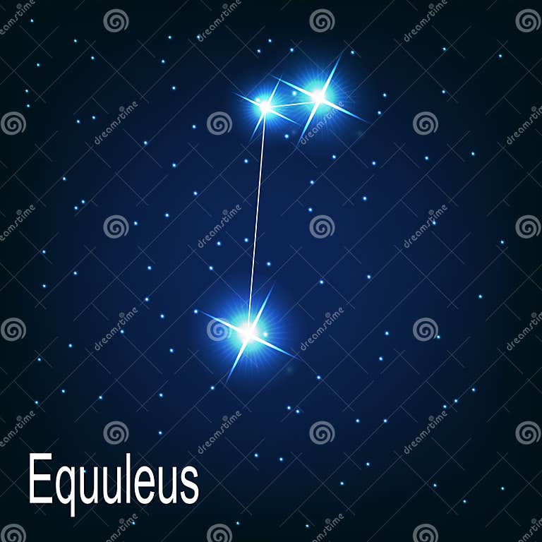 The Constellation Equuleus Star in the Night Stock Vector ...