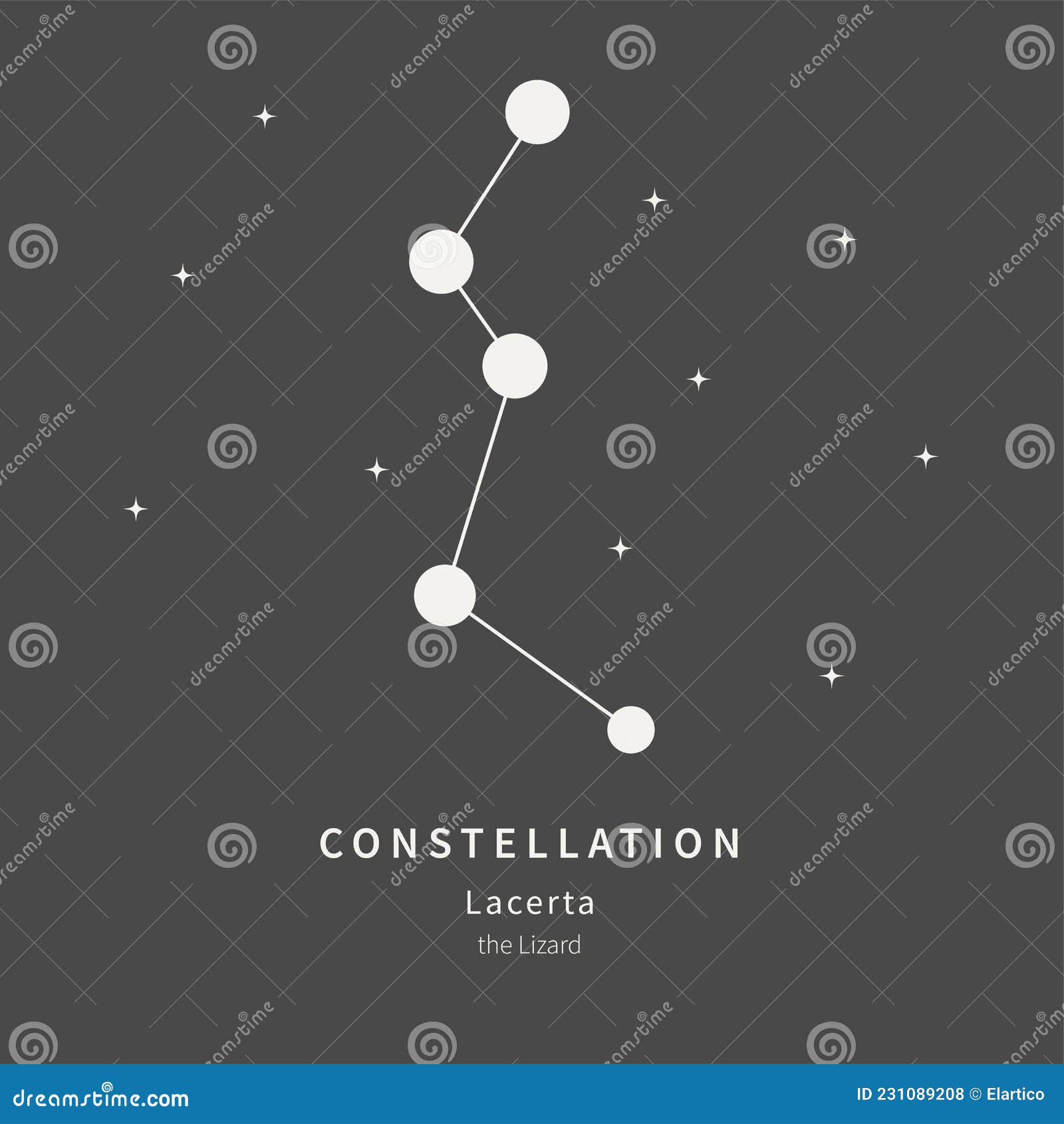 The Constellation of Lacerta. the Lizard - Linear Icon. Vector ...