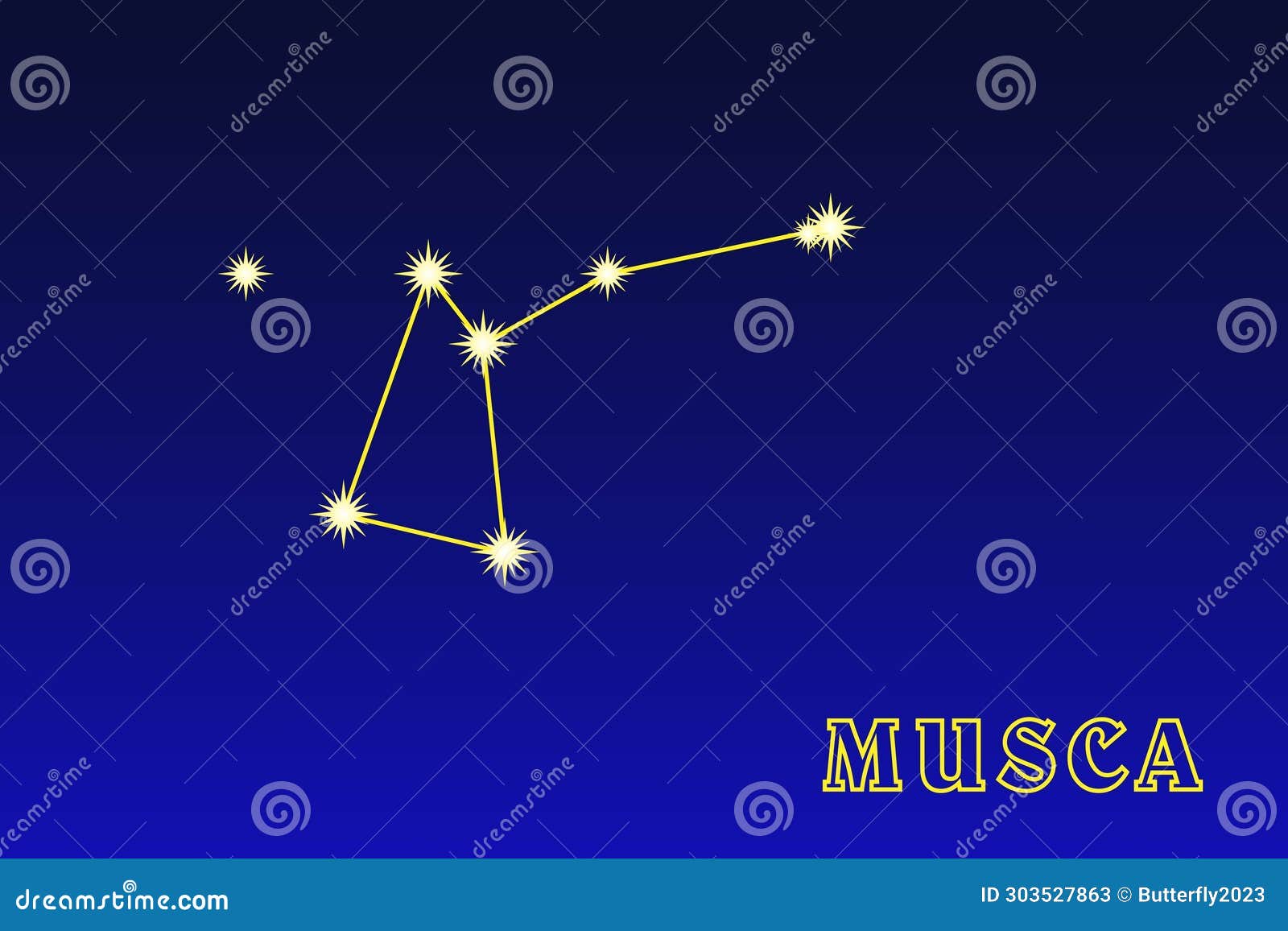 Constellation Musca, Fly, Night Star Sky Cartoon Vector | CartoonDealer ...