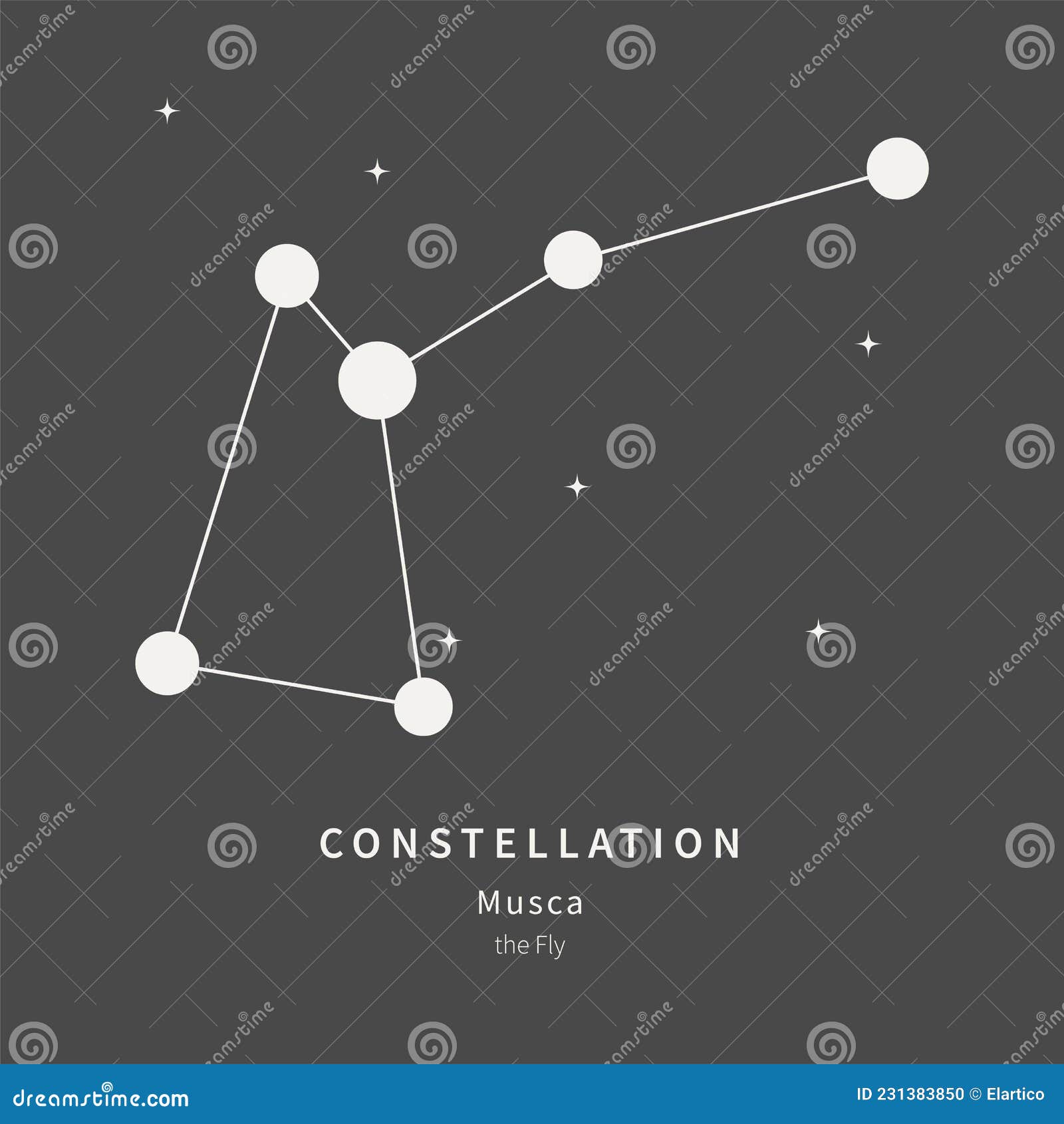 Musca Constellation
