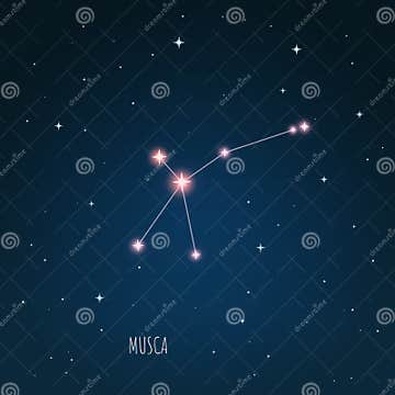 Constellation Musca Scheme in Starry Sky Space Stock Vector ...
