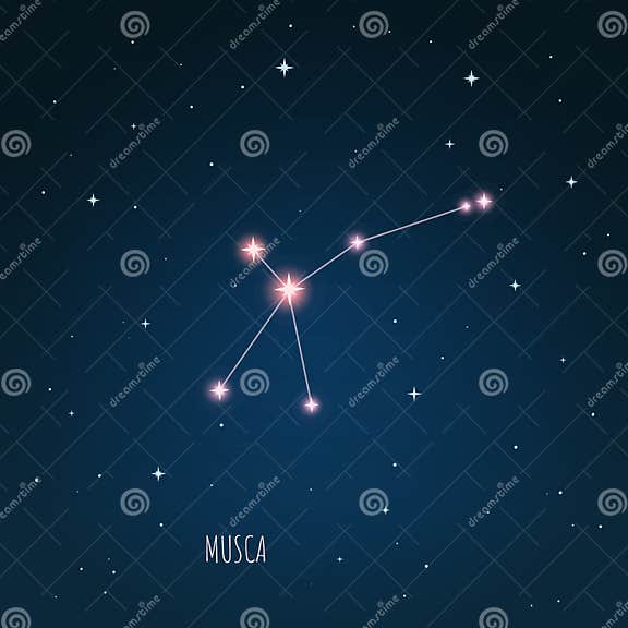 Constellation Musca Scheme in Starry Sky Space Stock Vector ...