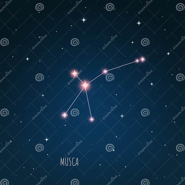 Constellation Musca Scheme in Starry Sky Space Stock Vector ...