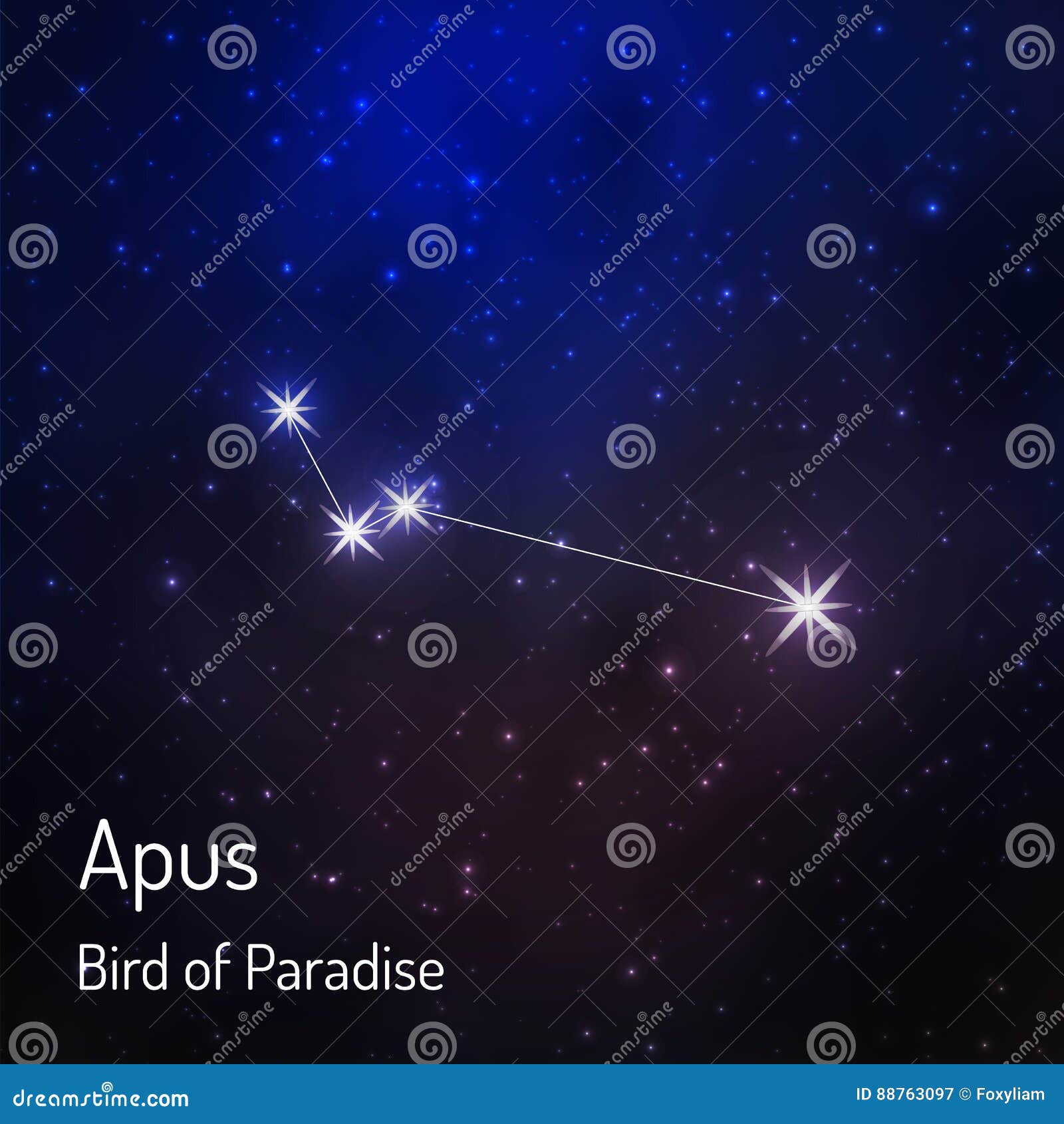 Apus The Bird Of Paradise Constellation On A Starry Space Background ...