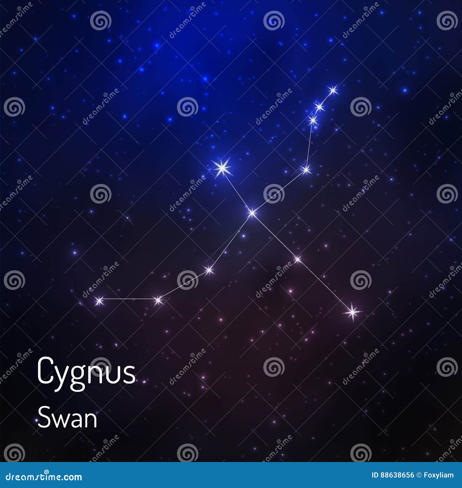 Cygnus The Swan Constellation On A Starry Space Background Royalty-Free ...
