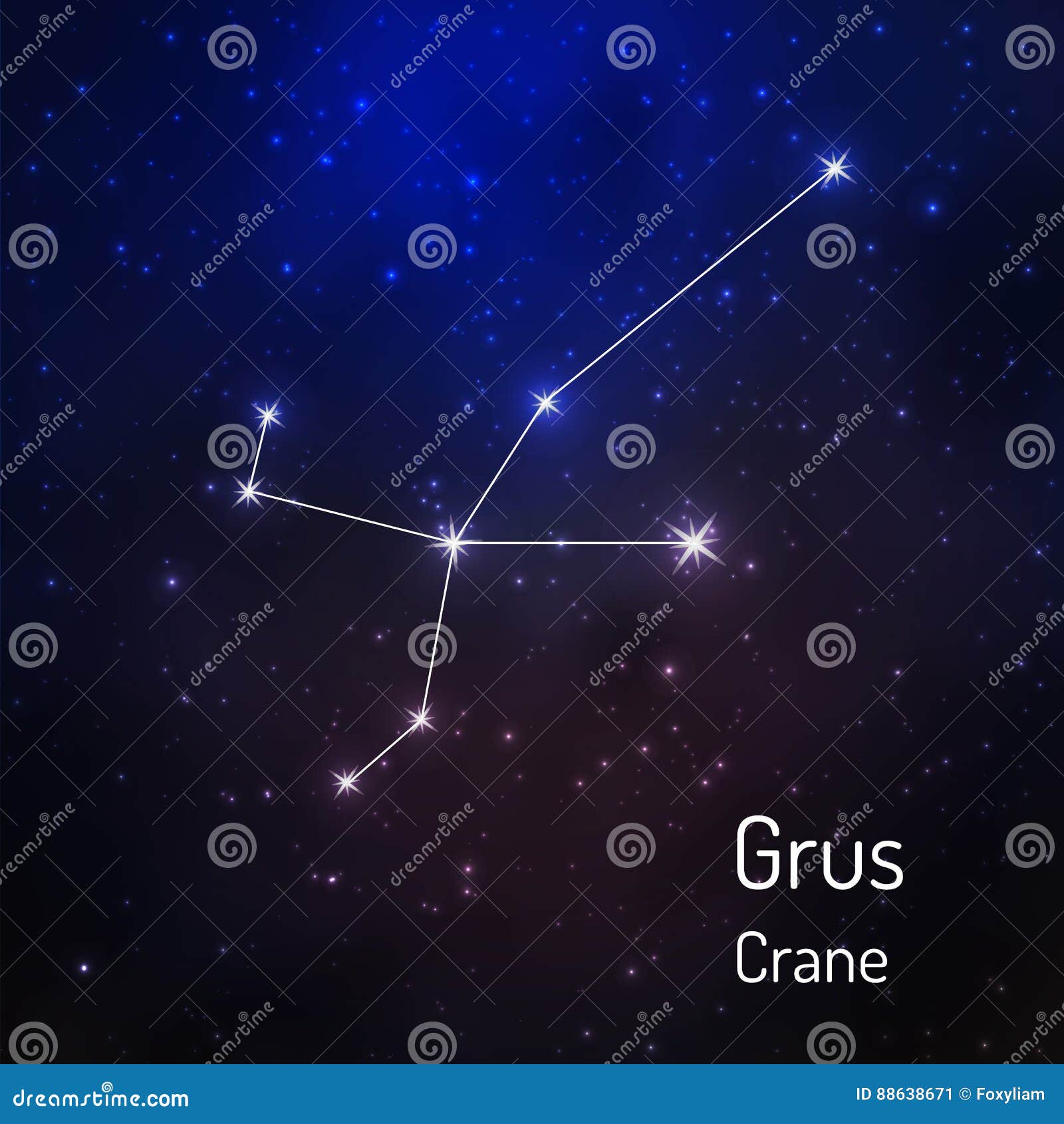 Grus The Crane Constellation Map On A Starry Space Background With The ...