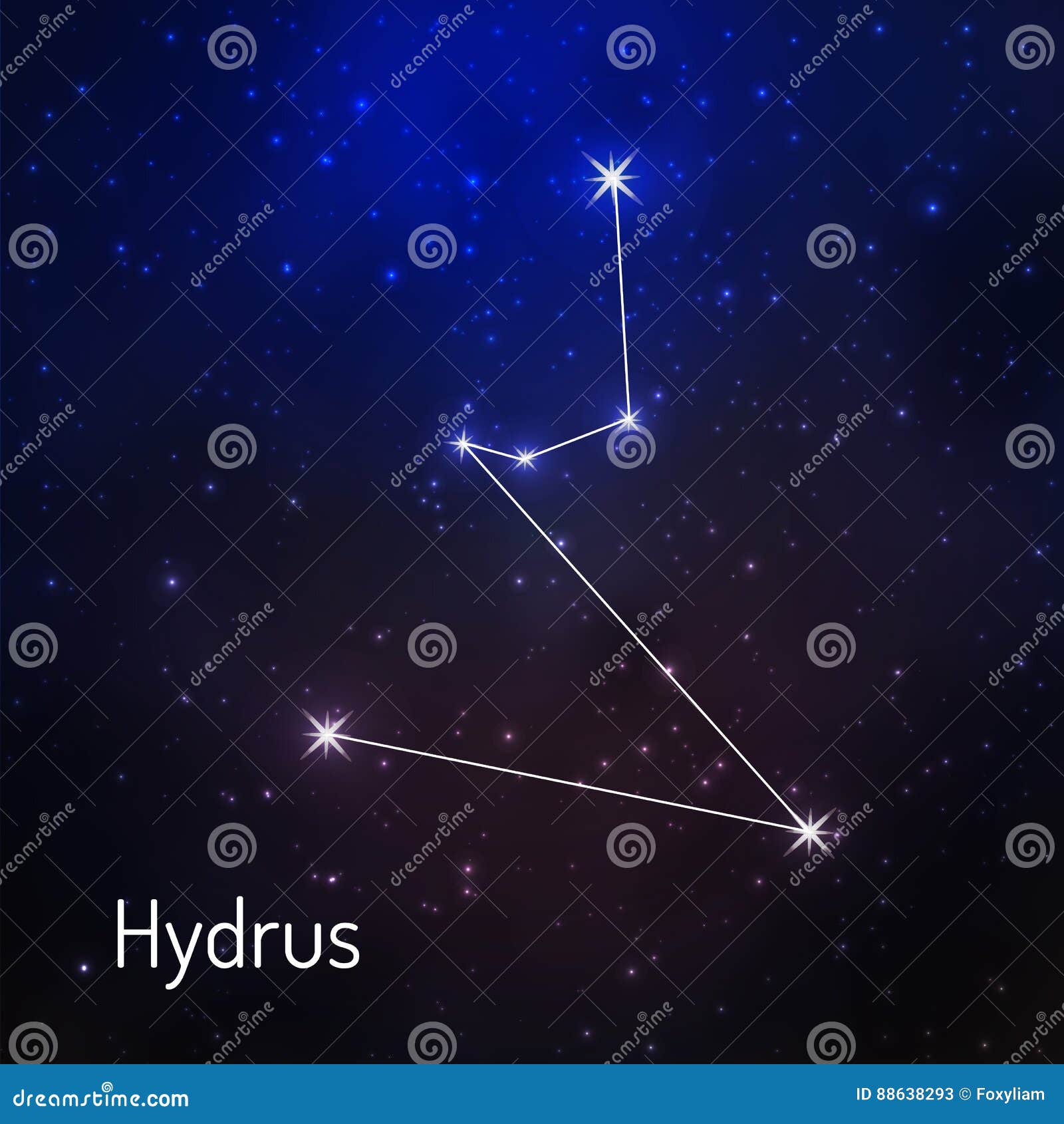 Hydrus Constellation. Starry Night Sky. Zodiac Sign. Cluster Of Stars ...