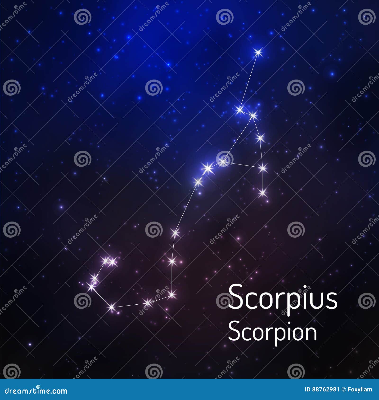 Constellation in the Night Starry Sky Stock Vector - Illustration of ...