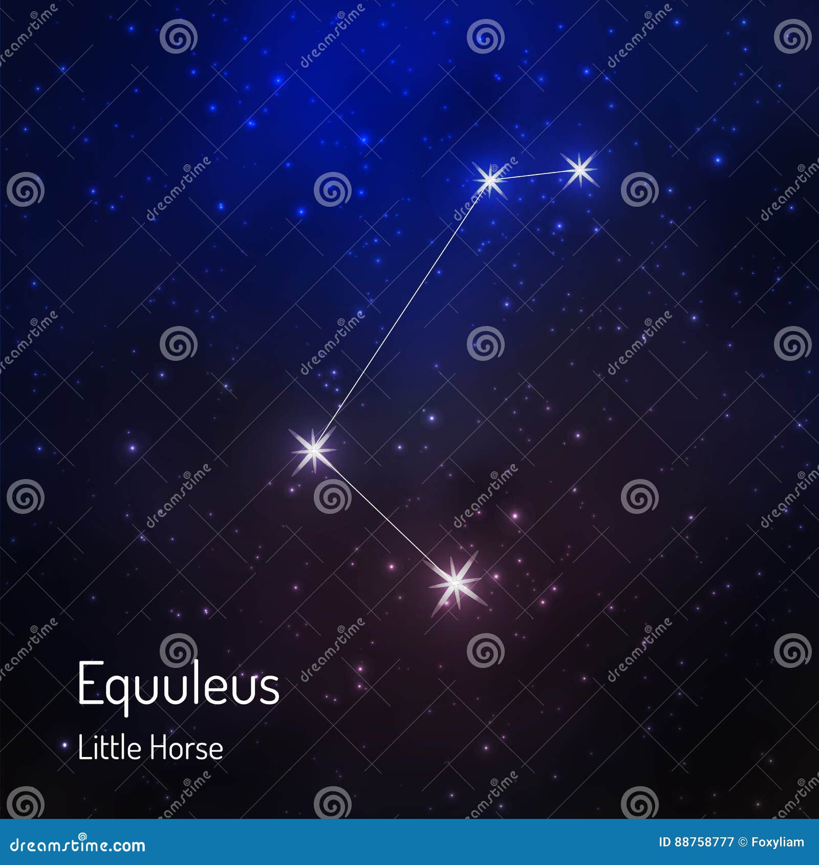 Equuleus The Little Horse Constellation On A Starry Space Background ...
