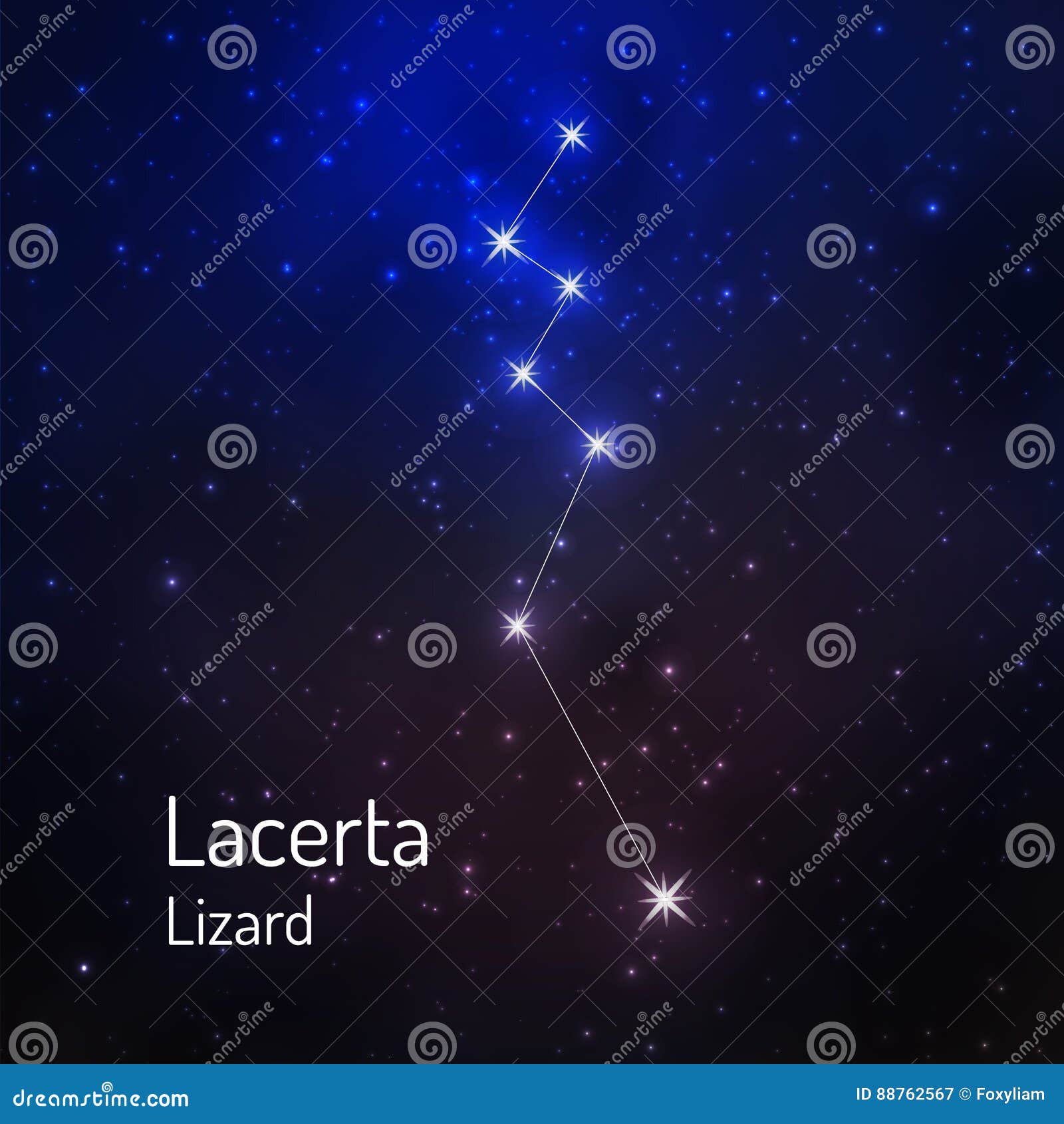 Lacerta The Lizard Constellation Map On A Starry Space Background ...