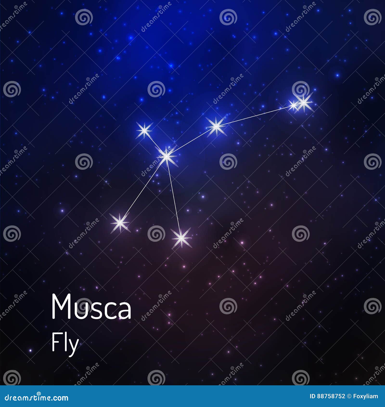 Constellation Musca Stock Illustrations – 27 Constellation Musca Stock ...