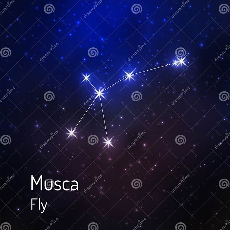 Constellation in the Night Starry Sky. Vector Illustration Stock Vector ...