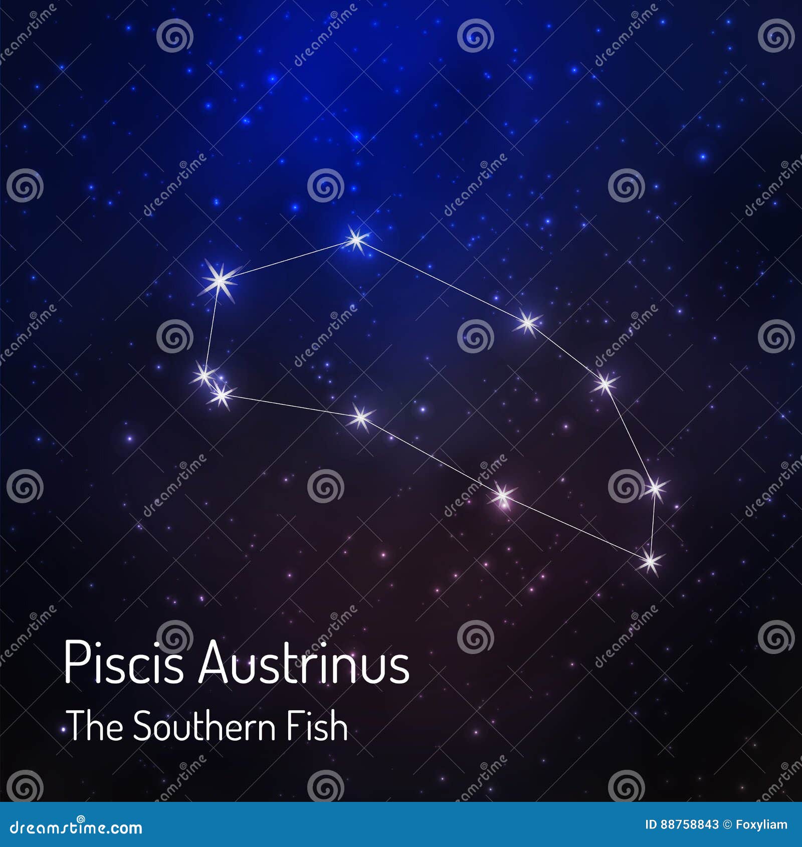 Constellation in the Night Starry Sky. Vector Illustration Stock Vector ...