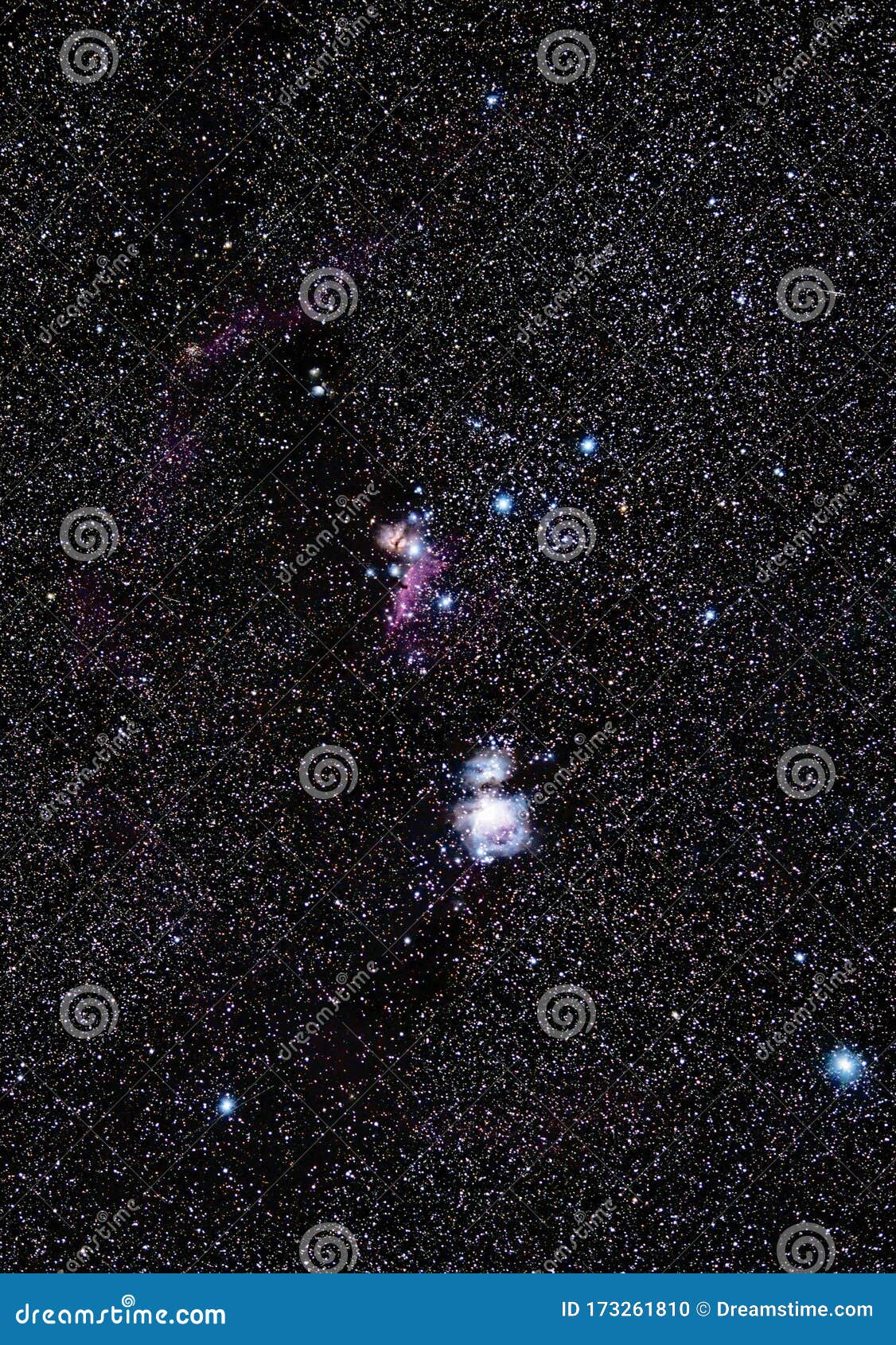 Constellation of Orion Showing M42 Stock Photo - Image of five ...