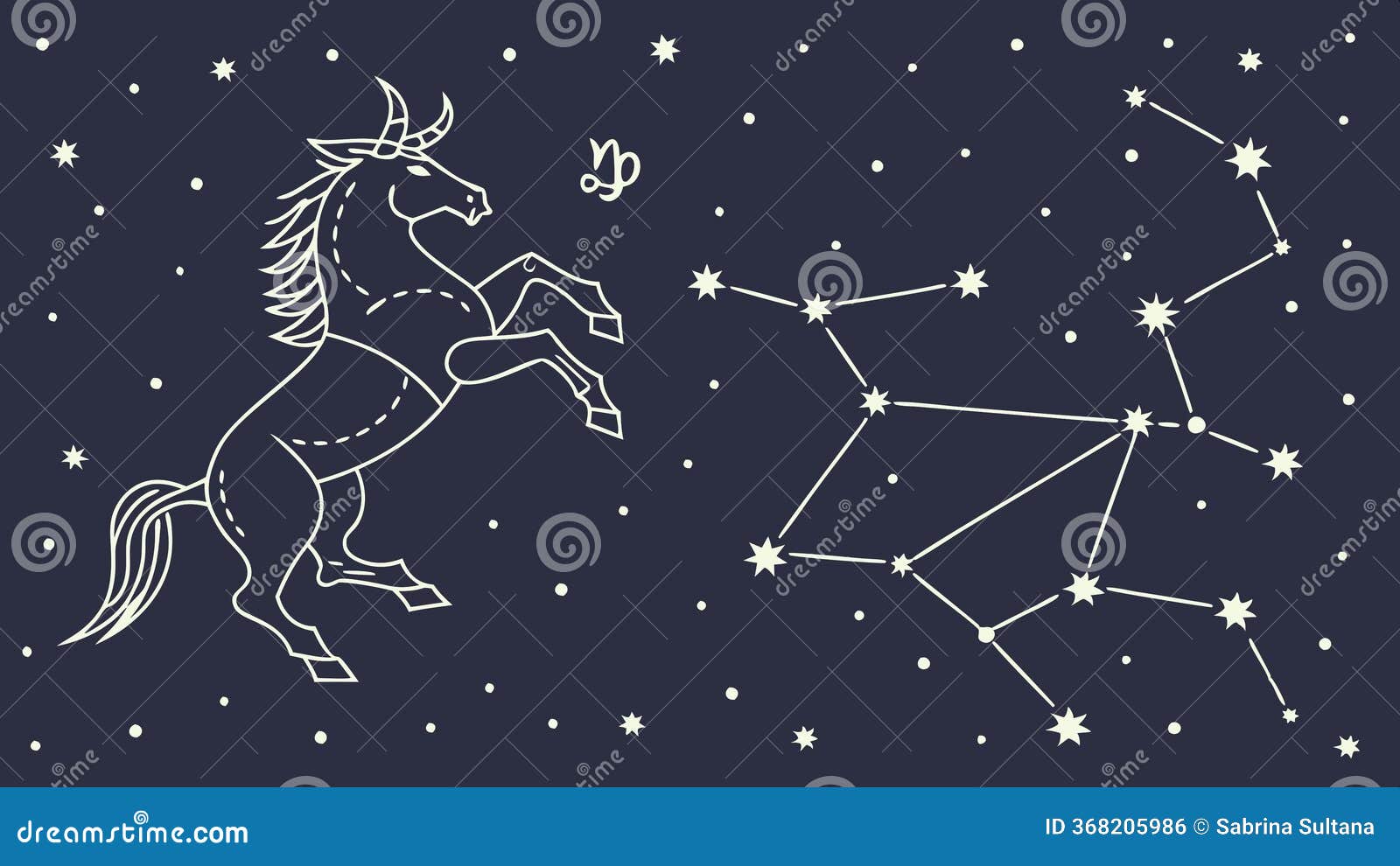 The Constellation Pegasus Star In The Night Sky. Vector Illustration ...
