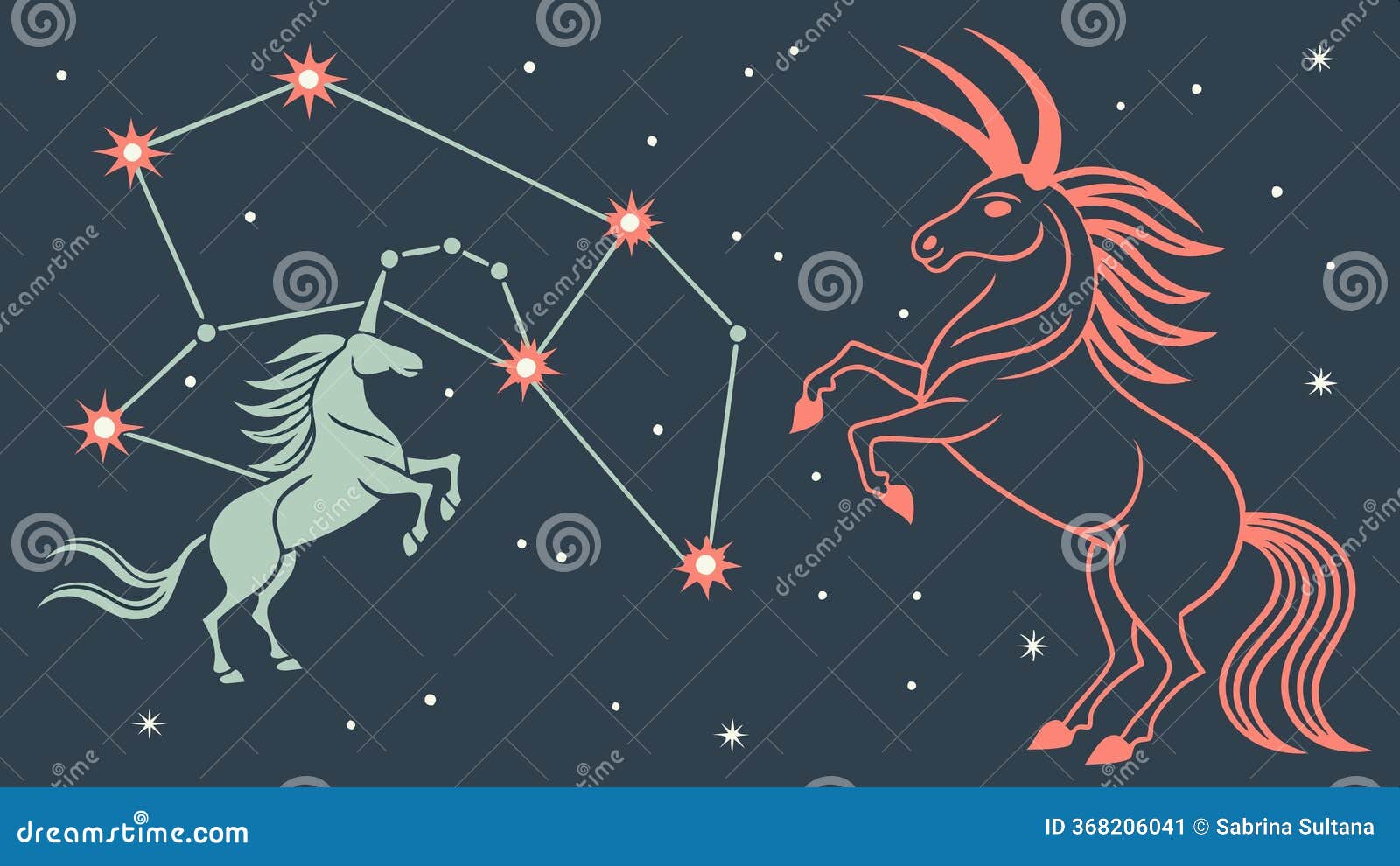 The Constellation Pegasus Star In The Night Sky. Vector Illustration ...