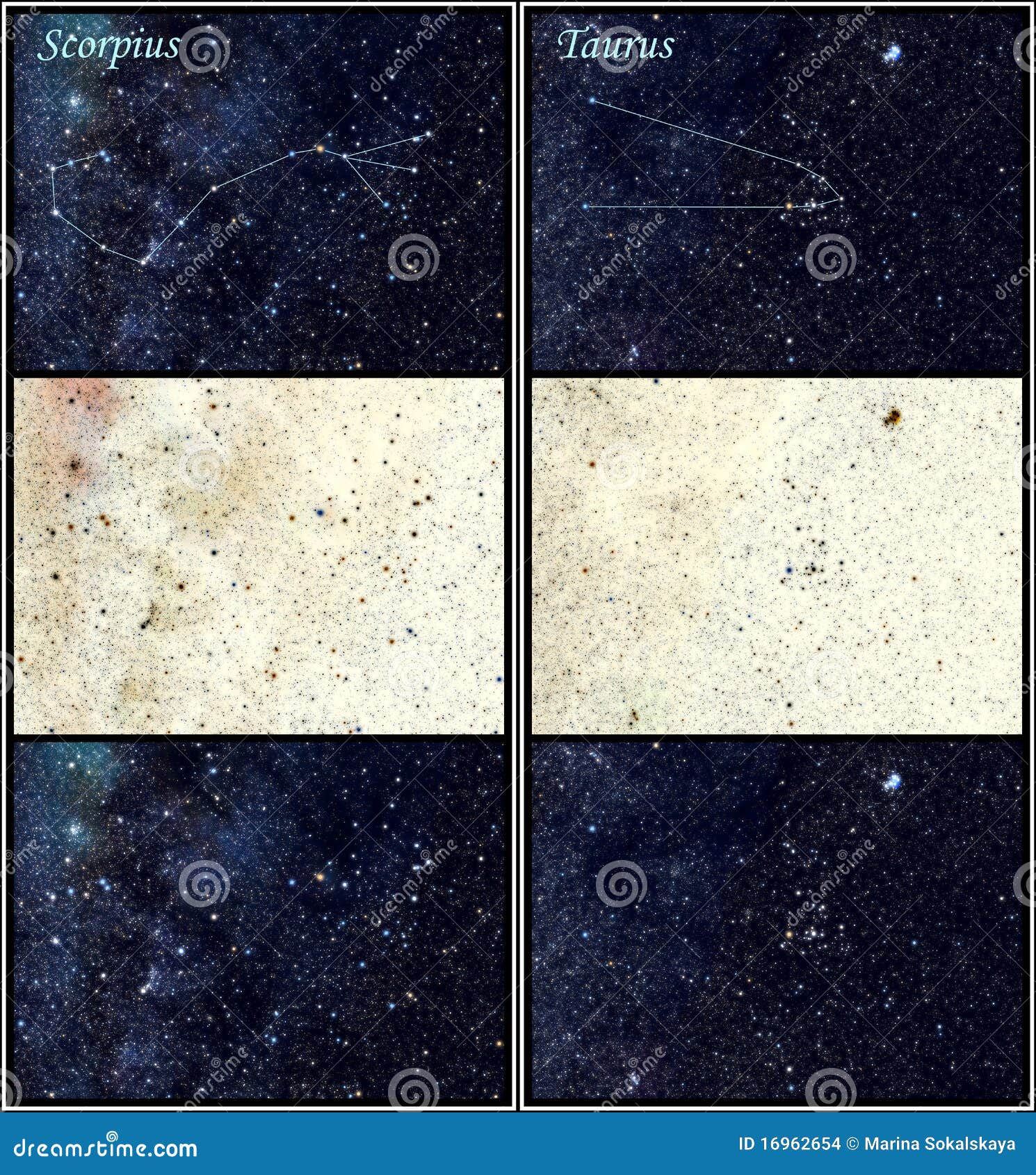 Scorpius Vector Illustration | CartoonDealer.com #39803406