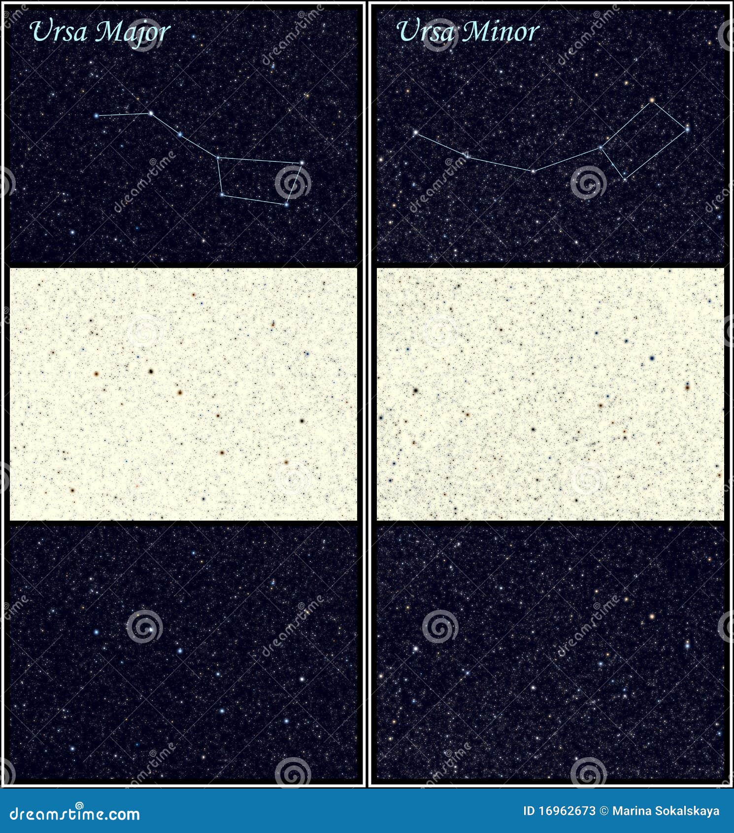 Major And Minor Scale Table Cartoon Vector | CartoonDealer.com #195834213