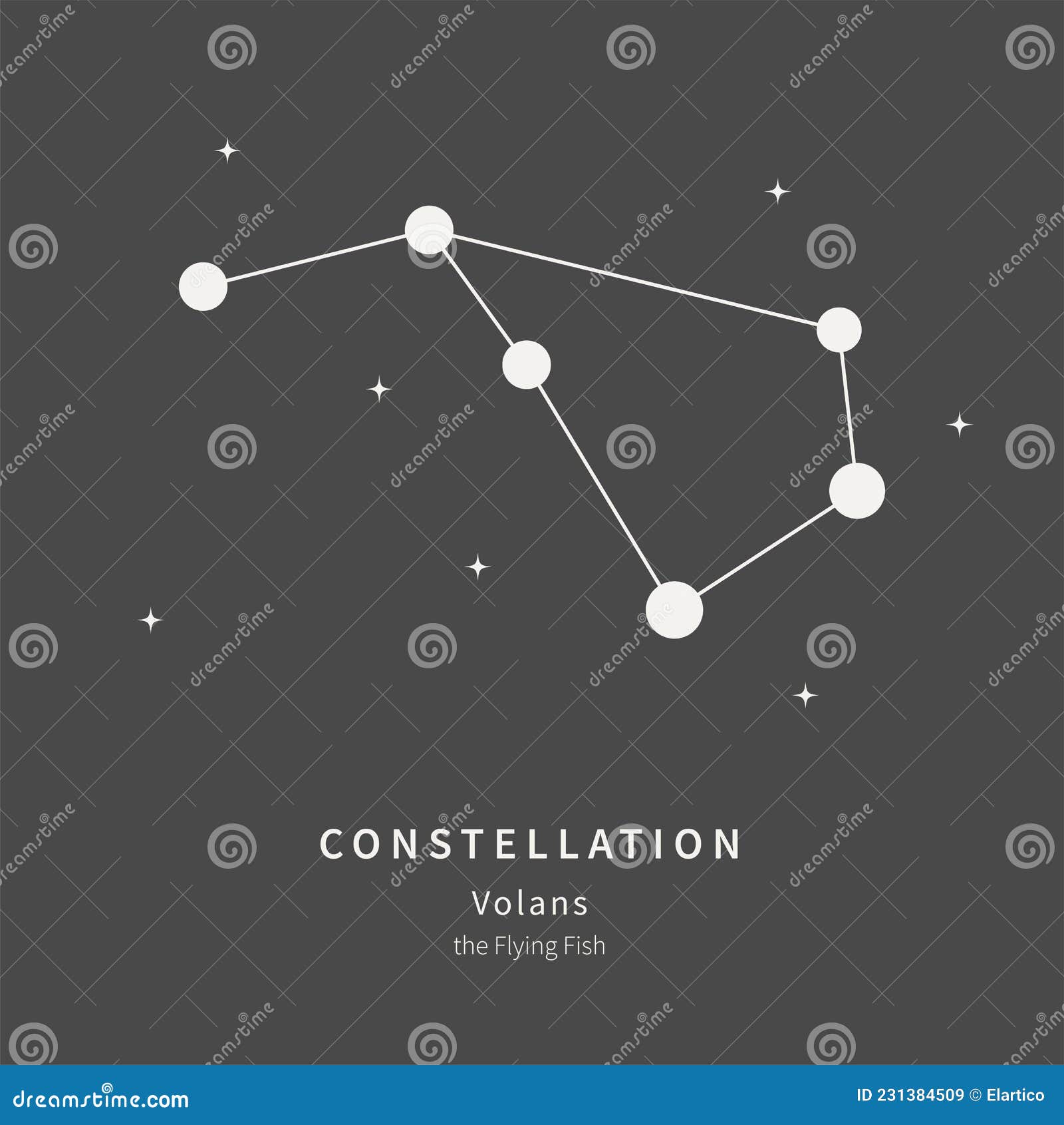 The Constellation of Volans. the Flying Fish - Linear Icon. Vector ...
