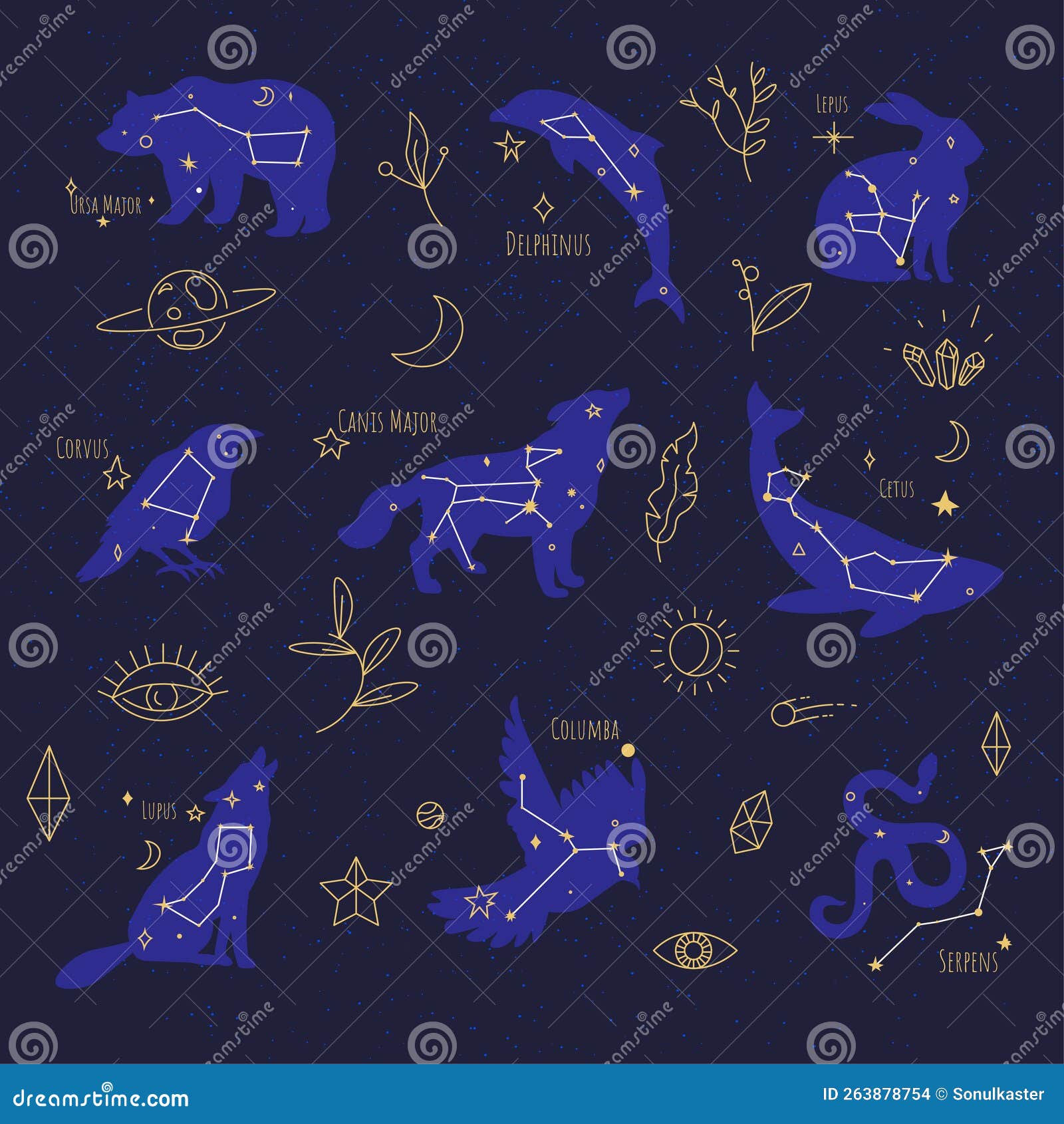 Constellations Celestial Bodies Signs at Night Sky Stock Illustration ...