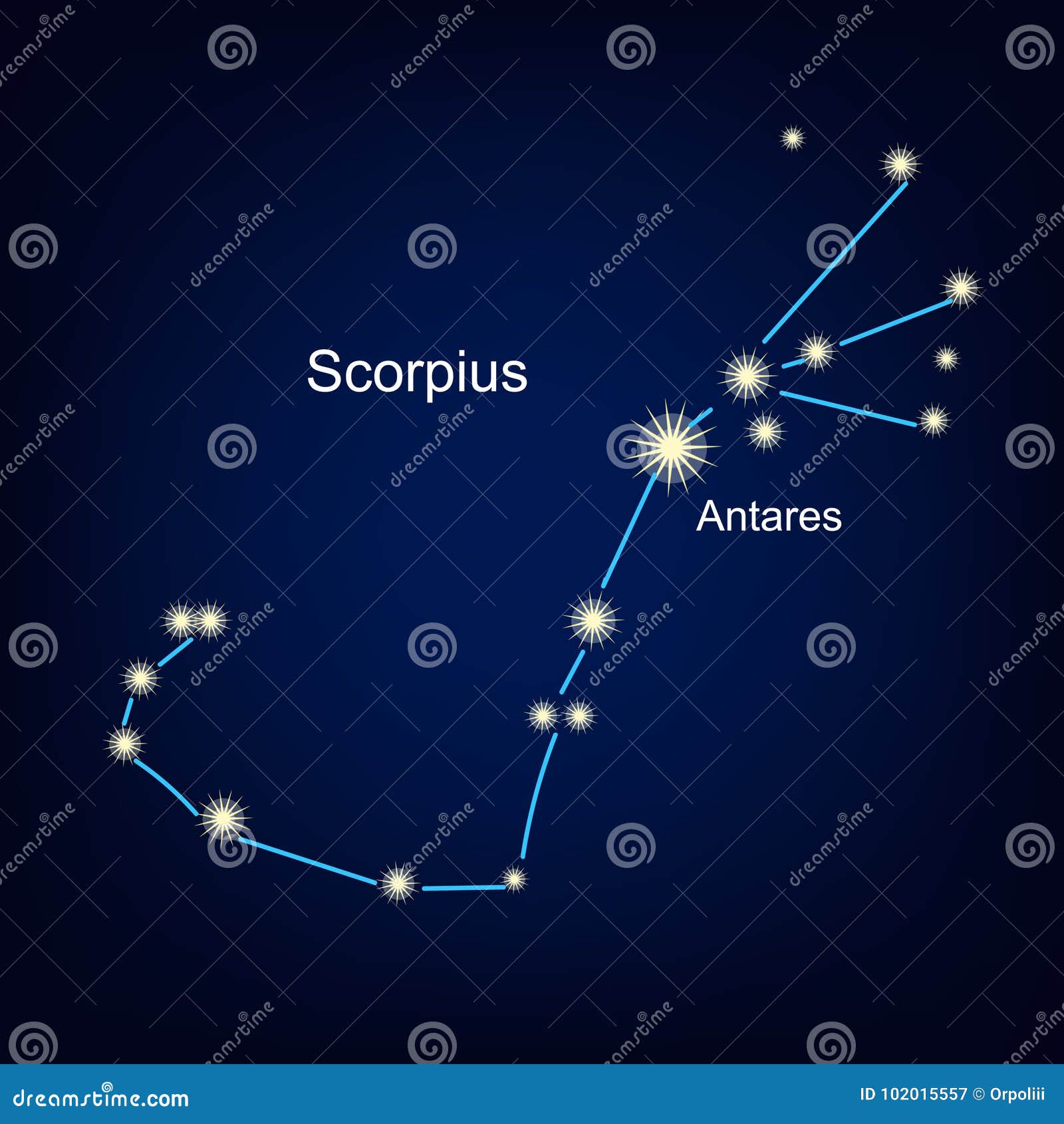 Constellations of the Scorpion Star Horoscope. Vector Stock Vector ...