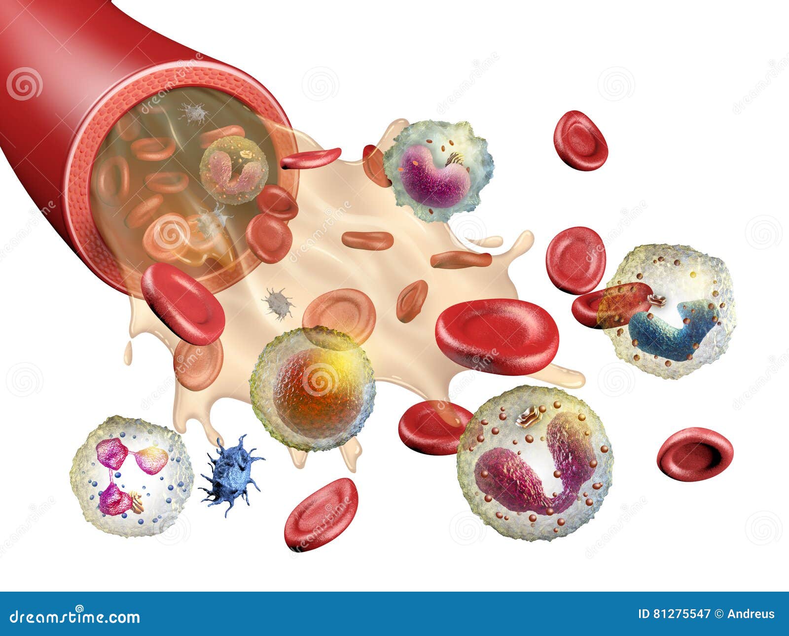 Constituants de sang illustration stock. Illustration du hématologie ...