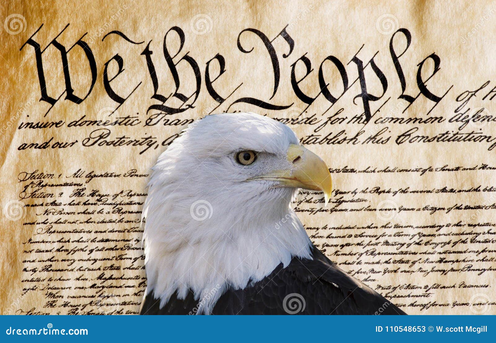 We the People. stock image. Image of patriotic, amendment - 110548653