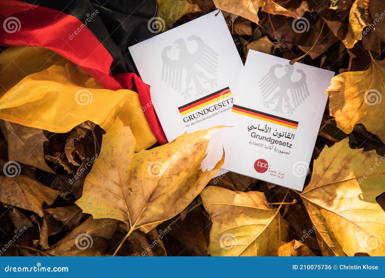 The Constitution Basic Law Book of Germany in German and Arabic ...