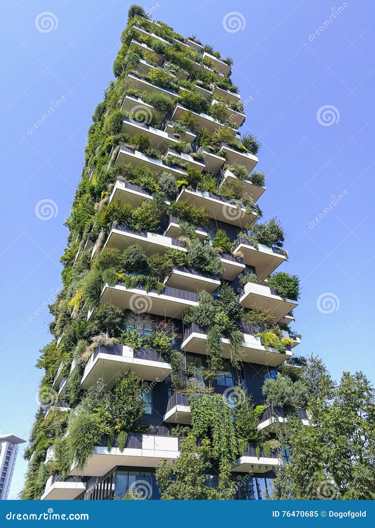 Construção Vertical Da Floresta Imagem Editorial - Imagem de cityscape ...