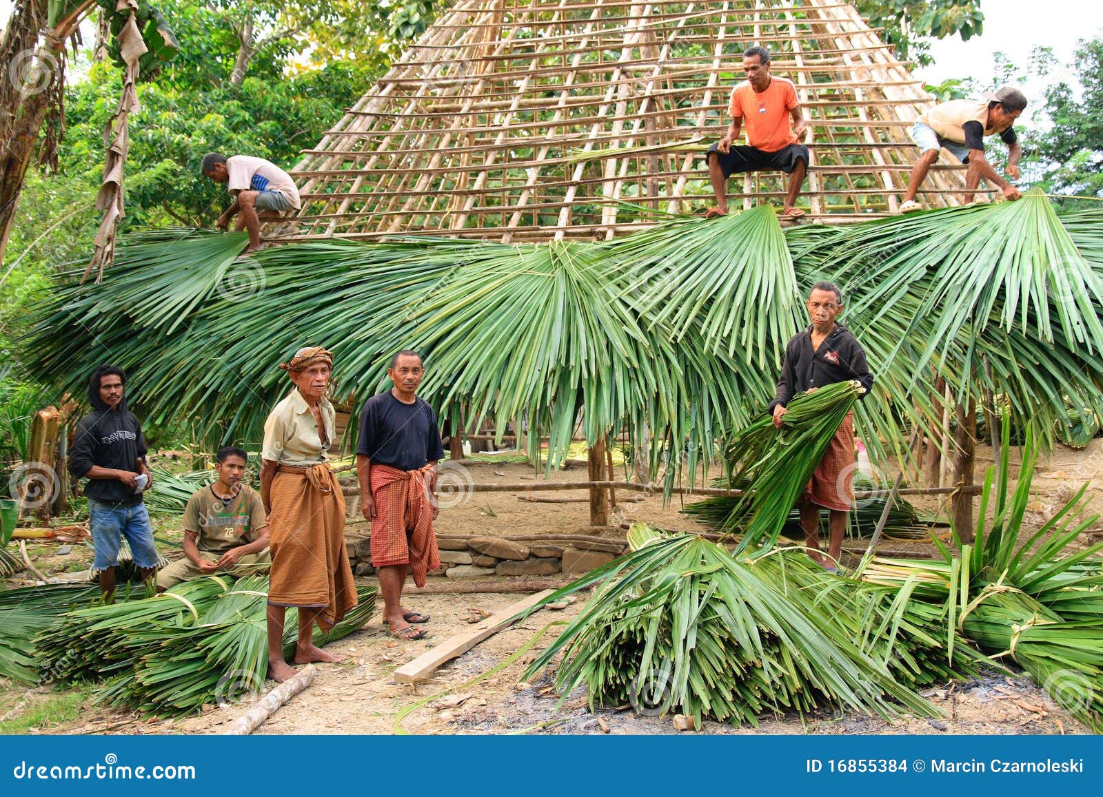 Construcción De Una Choza Tradicional En Timor Del Oeste Imagen de ...