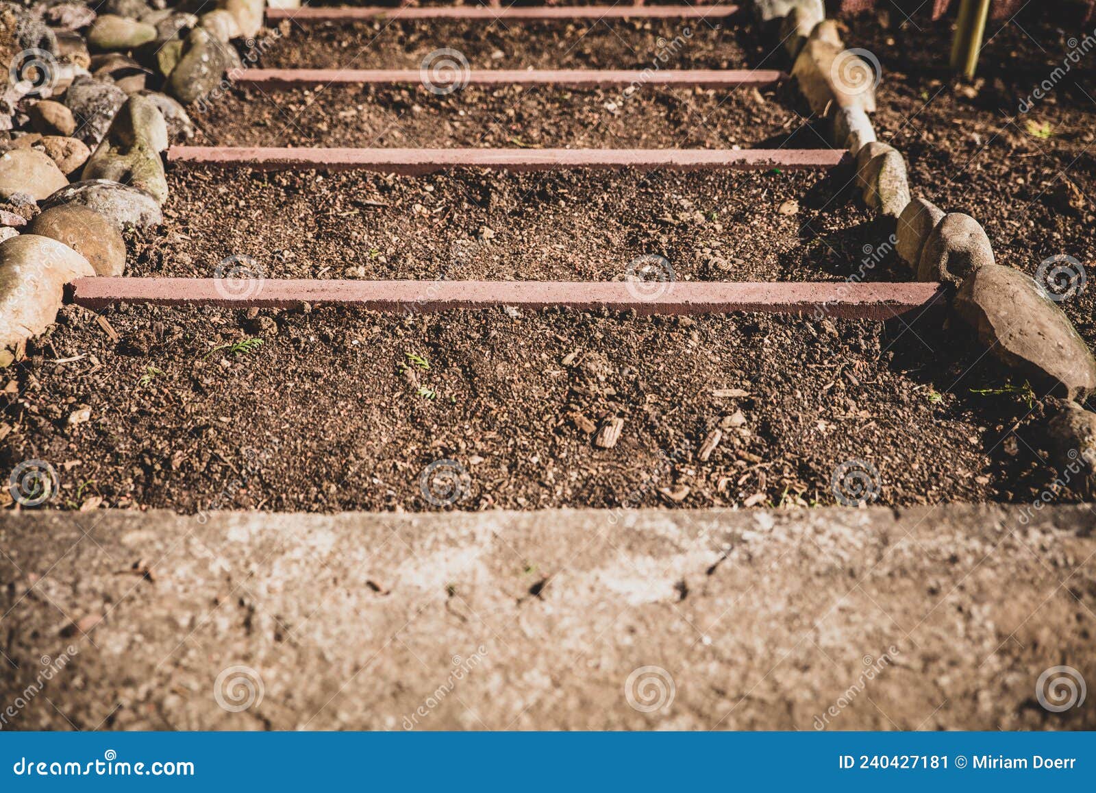 Steps And Stairs Along The Moro Rock Hike In Sequoia National Park ...