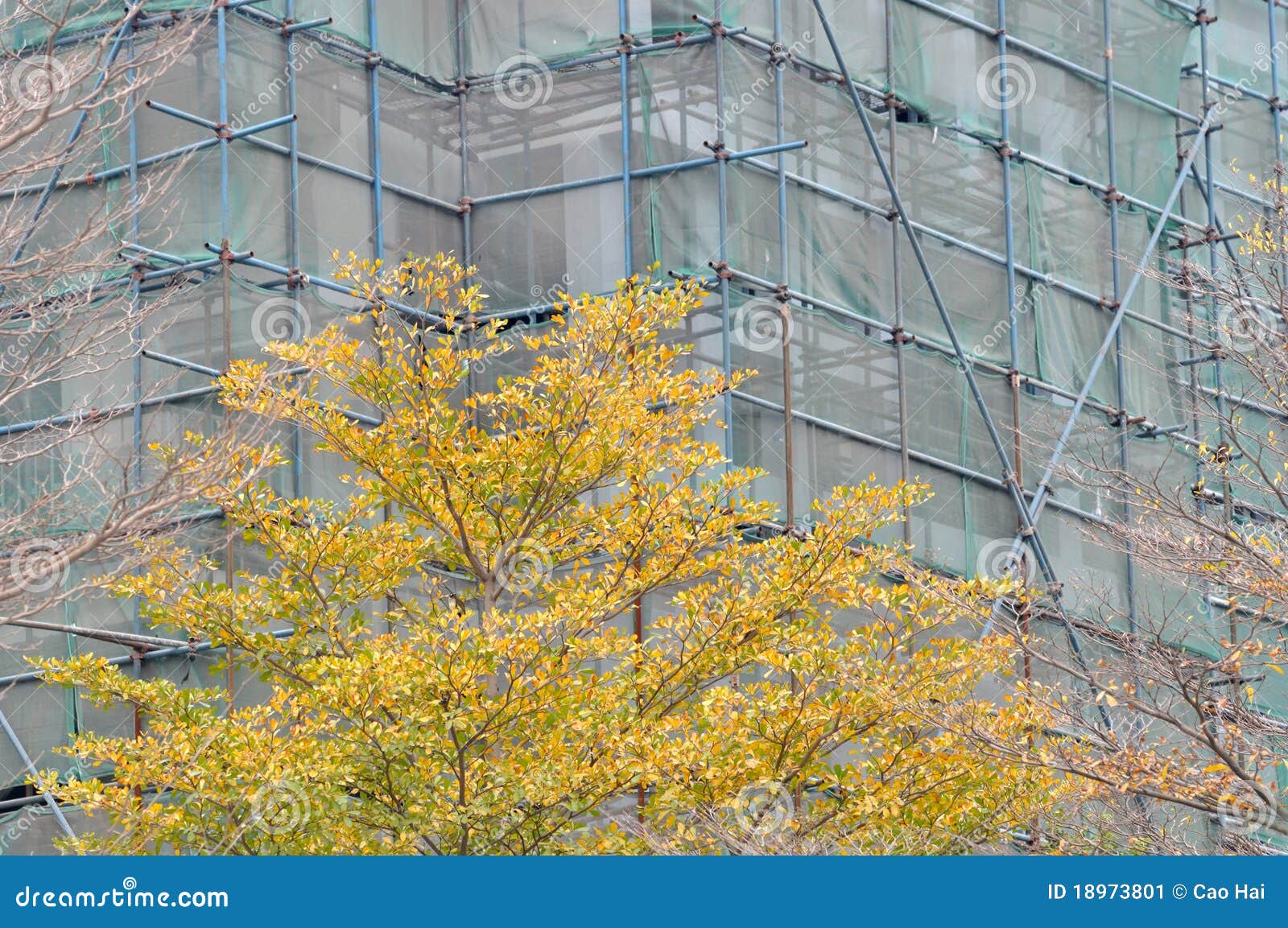 Constructing Building and Plant Stock Image - Image of industry, plant ...