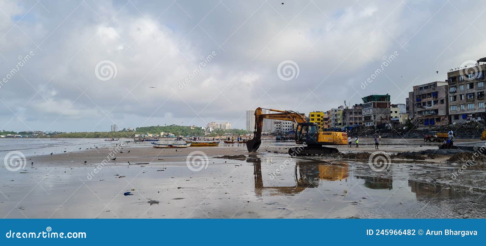 Construction Activity on the Beach Causing Pollution Editorial ...