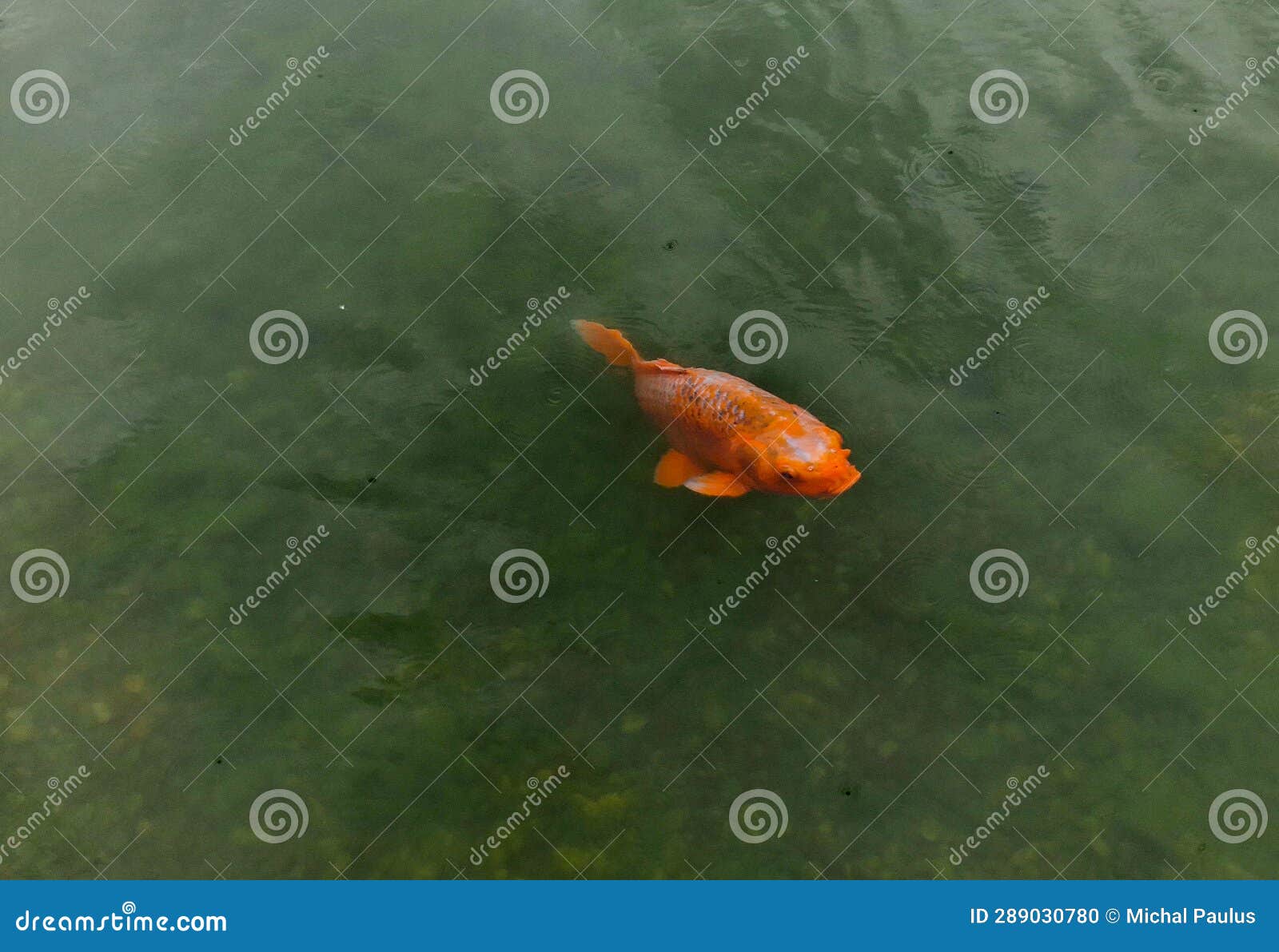 Construction of Artificial Islands with a Gradual Entry into Stock ...