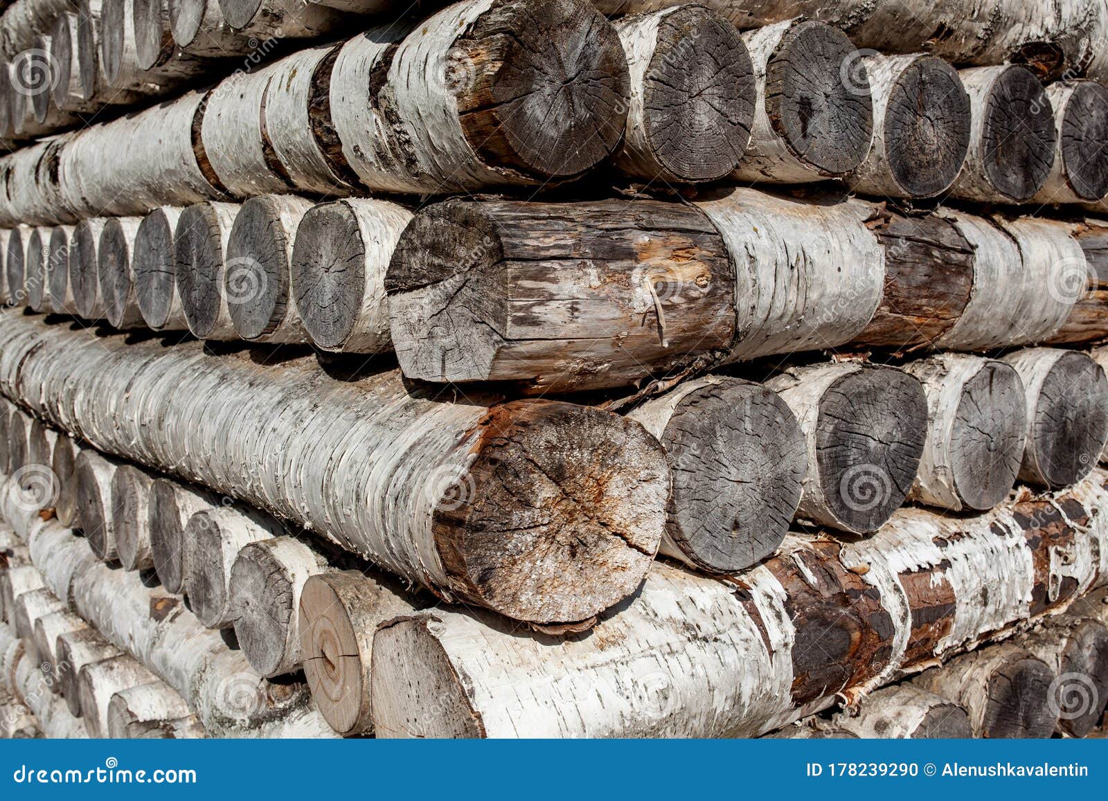 Birch logs stock photo. Image of tree, building, trunk - 178239290