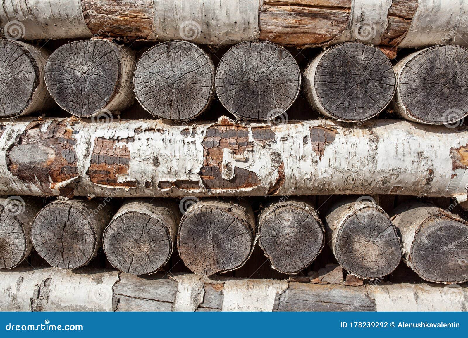 Birch logs stock photo. Image of tree, natural, building - 178239292